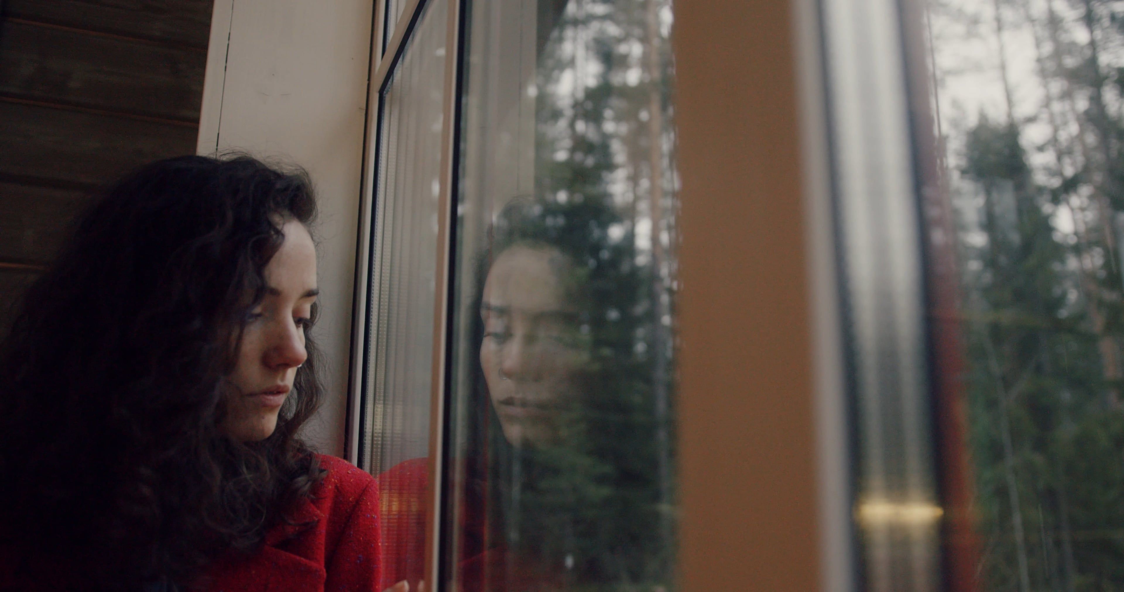 Woman Looking Out the Window on a Snowy Day Free Stock Video Footage ...