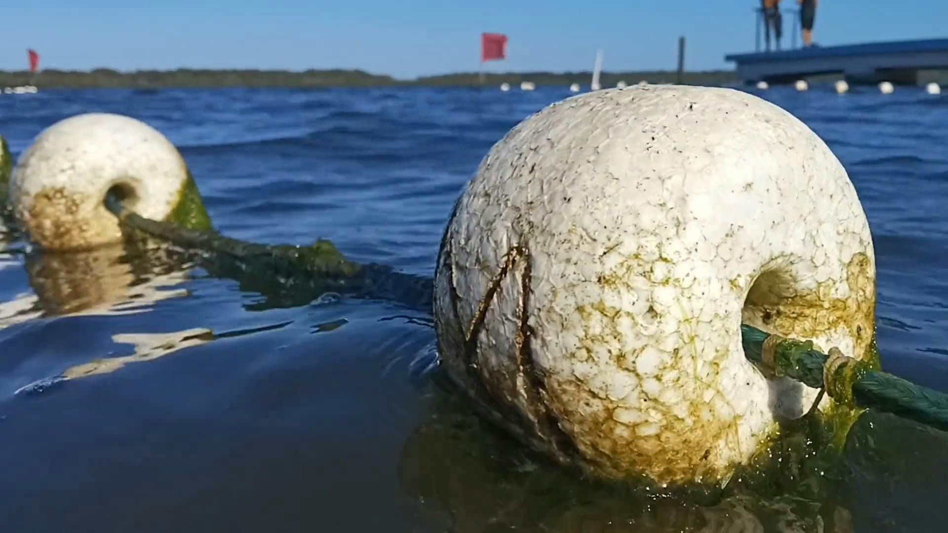 Beach Water Line Videos, Download The BEST Free 4k Stock Video Footage ...