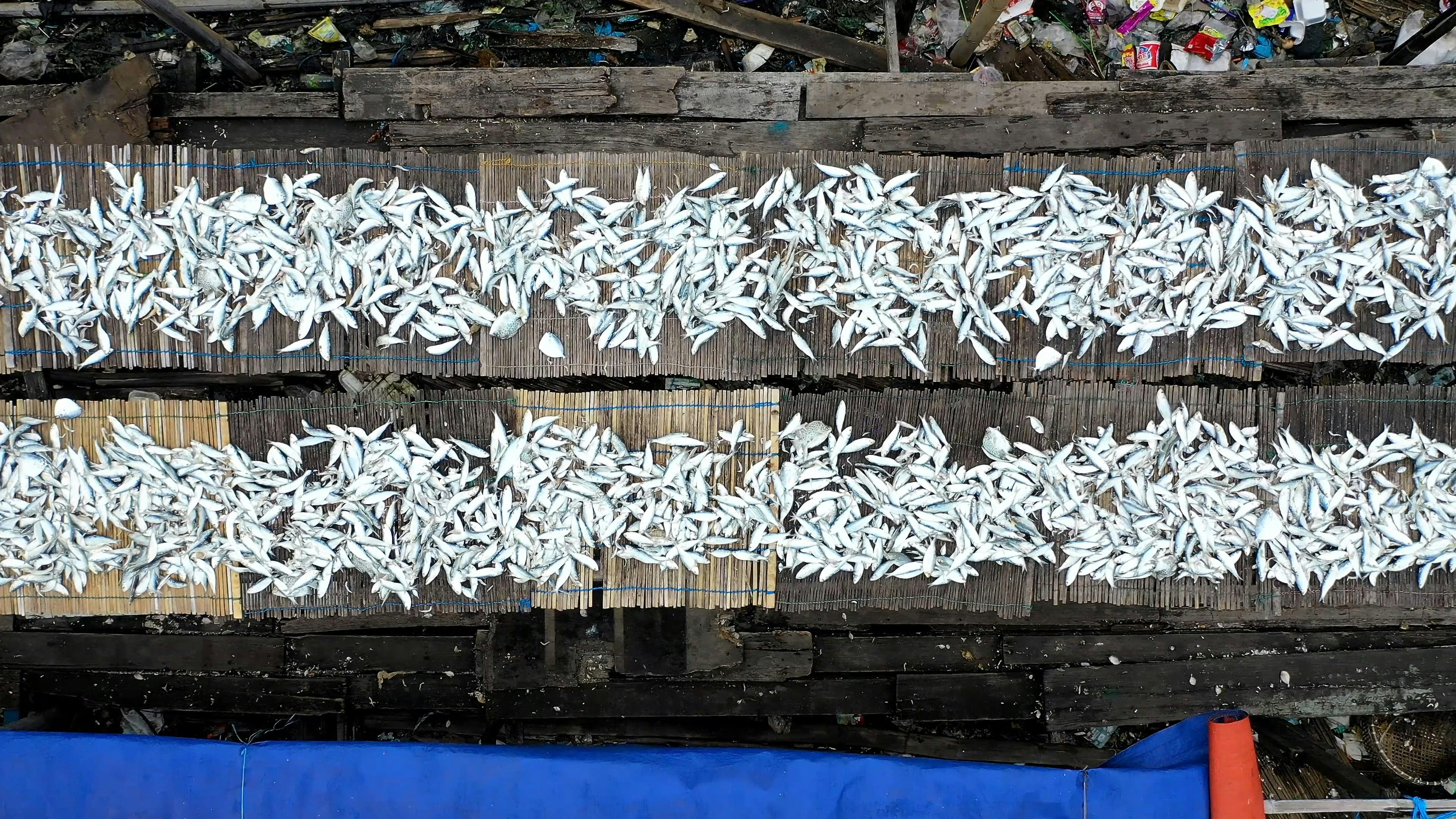 Fresh Water Pollution Videos, Download The BEST Free 4k Stock Video ...