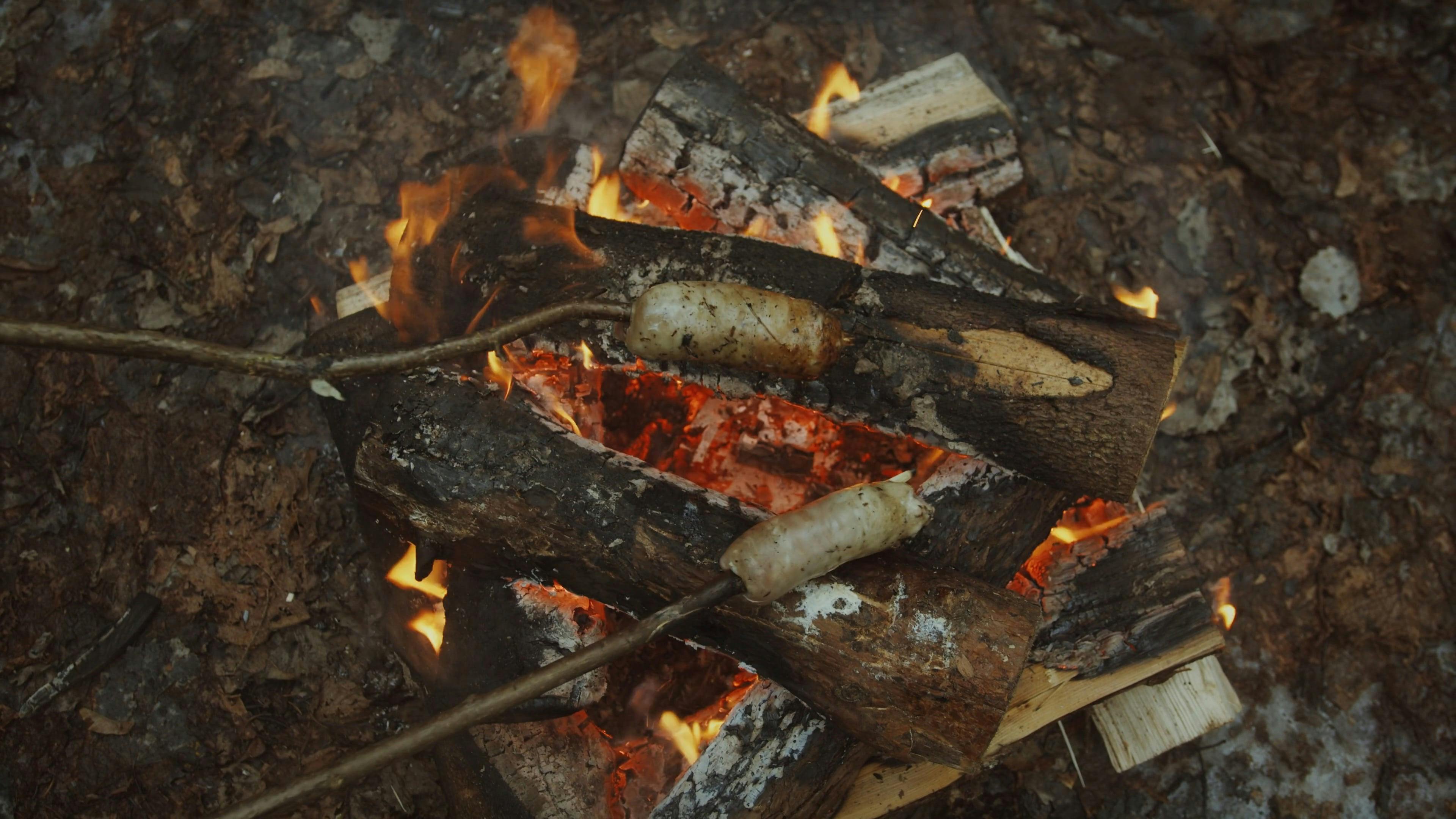 Person Roasting Food on Woo Fire Free Stock Video Footage, Royalty-Free ...