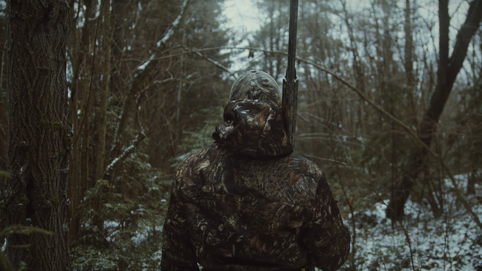 Hunting Videos, Download The BEST Free 4k Stock Video Footage & Hunting ...