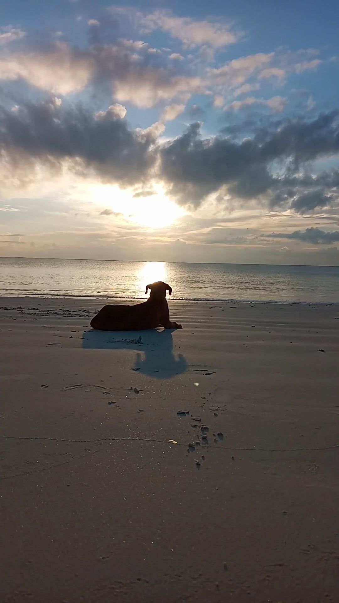 Laying On The Beach Videos, Download The BEST Free 4k Stock Video ...