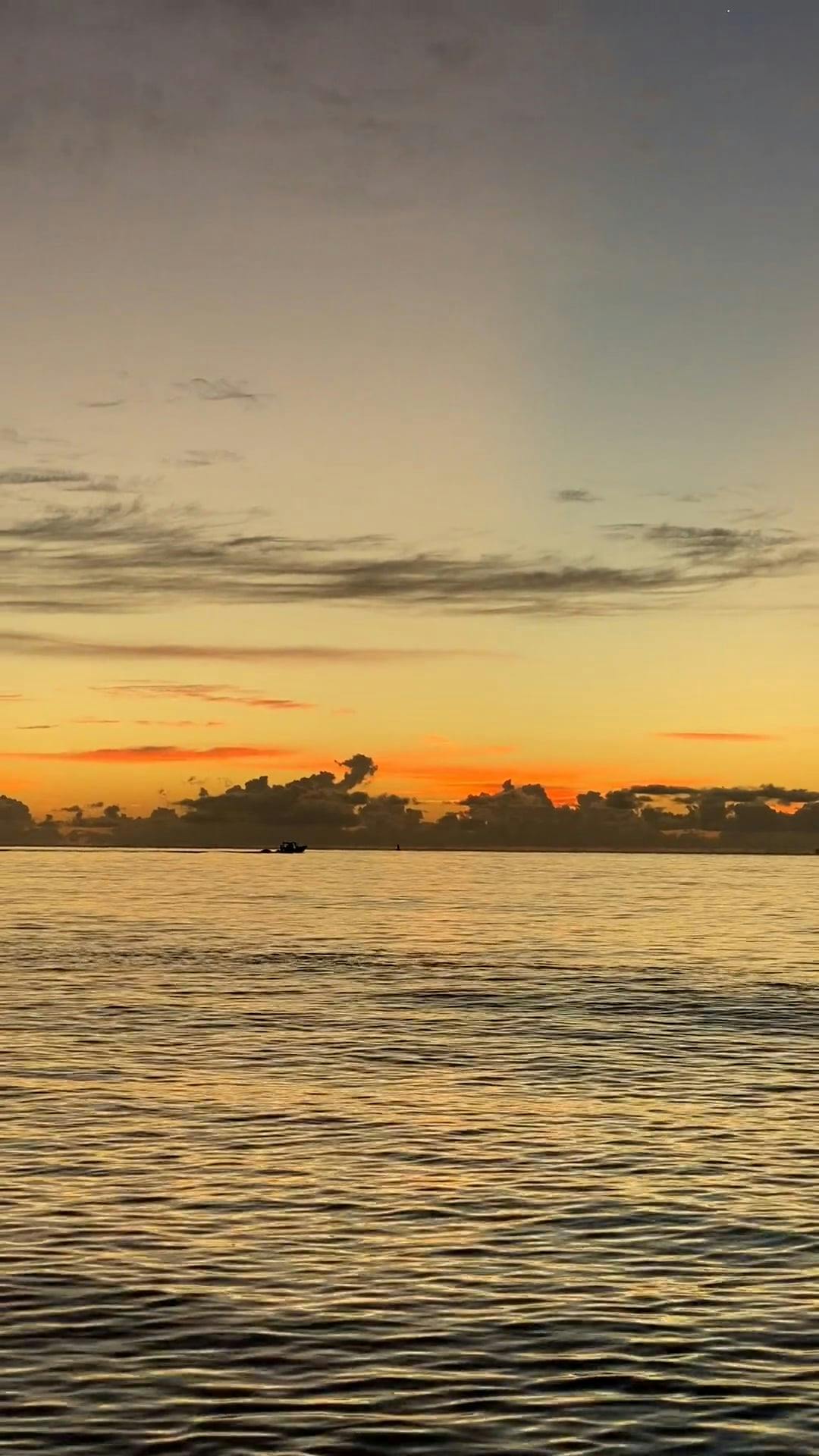 Waving Water in the Ocean · Free Stock Video