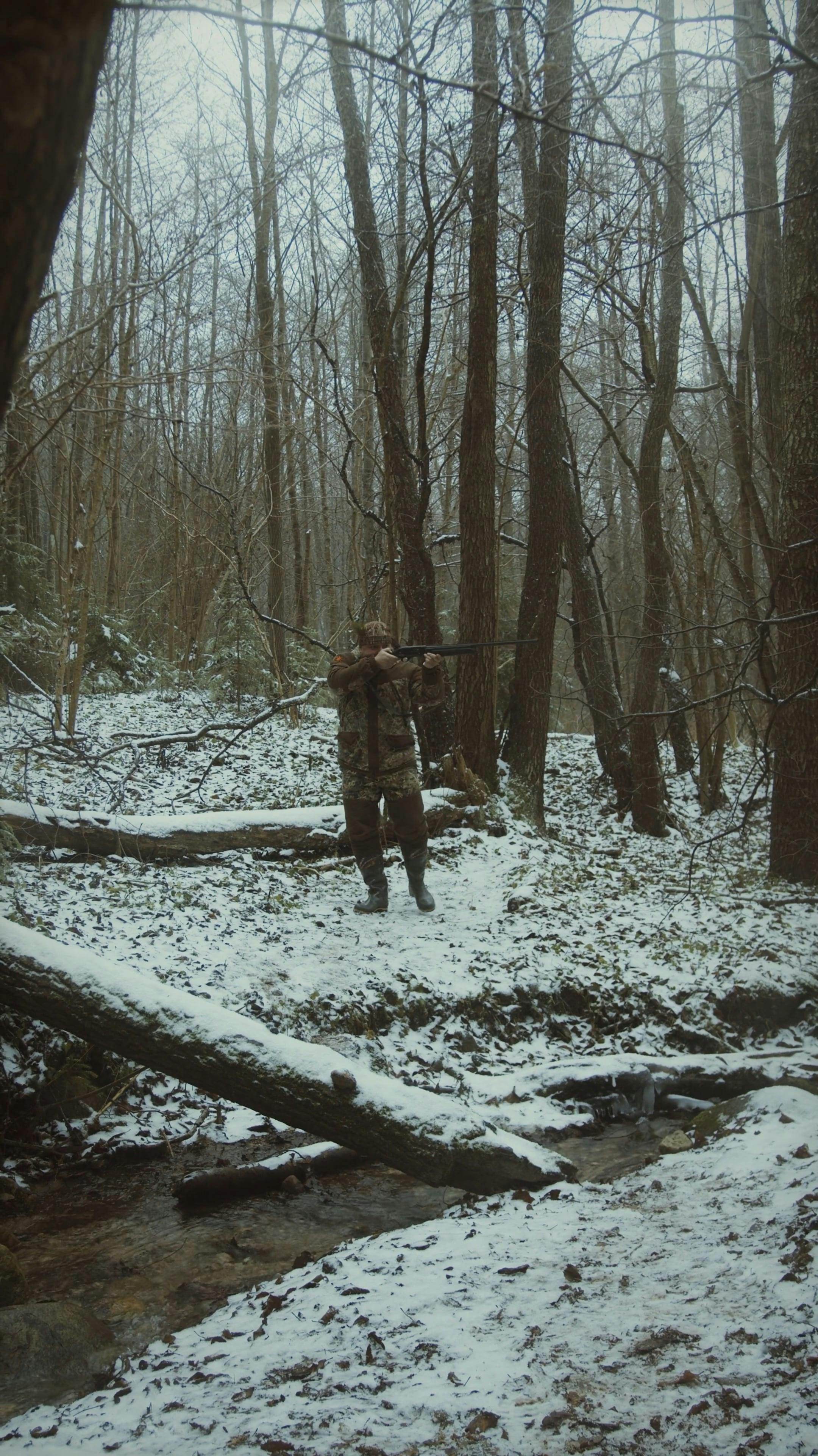 A Man Hunting in the Woods Free Stock Video Footage, Royalty-Free 4K ...