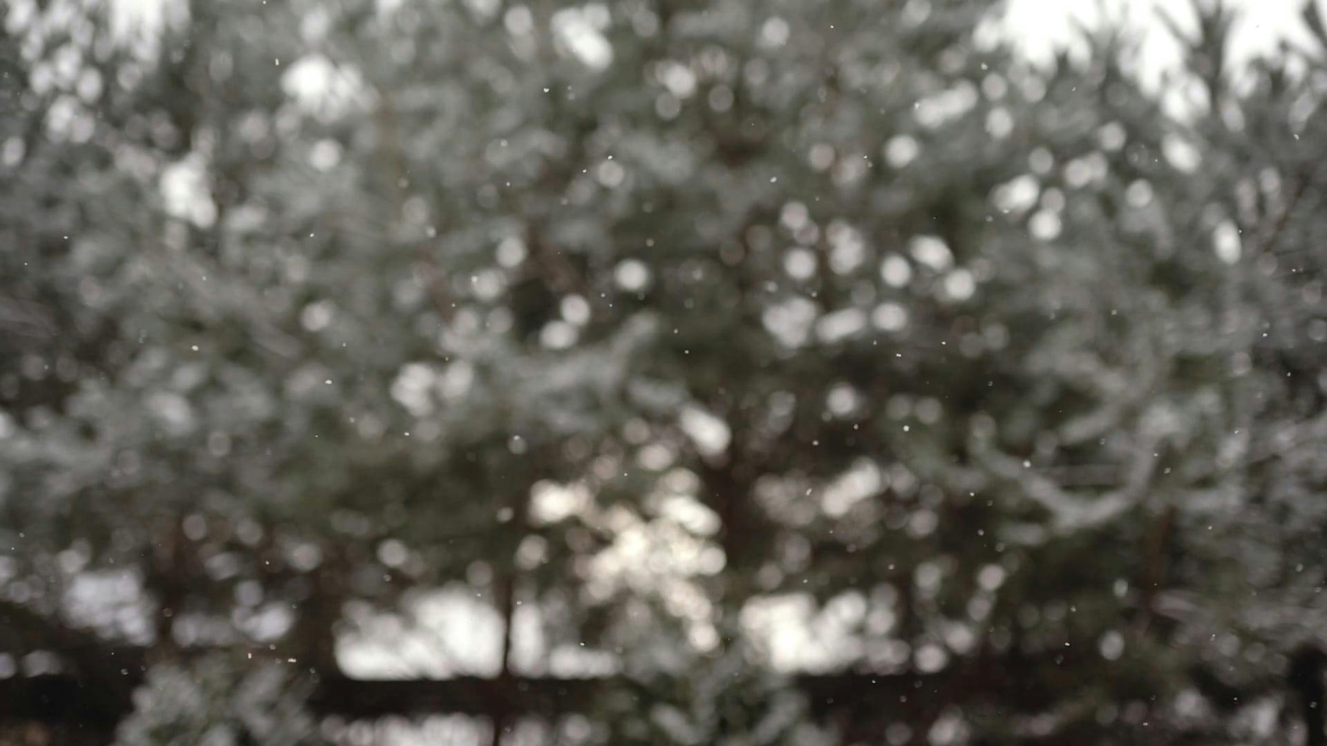 Snow Falling Outside Free Stock Video Footage, Royalty-Free 4K & HD ...