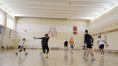 Volleyball Videos, Download The BEST Free 4k Stock Video Footage ...