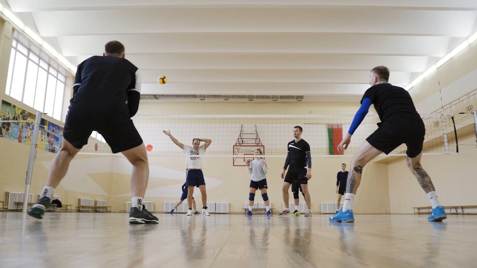 Volleyball Videos, Download The BEST Free 4k Stock Video Footage ...