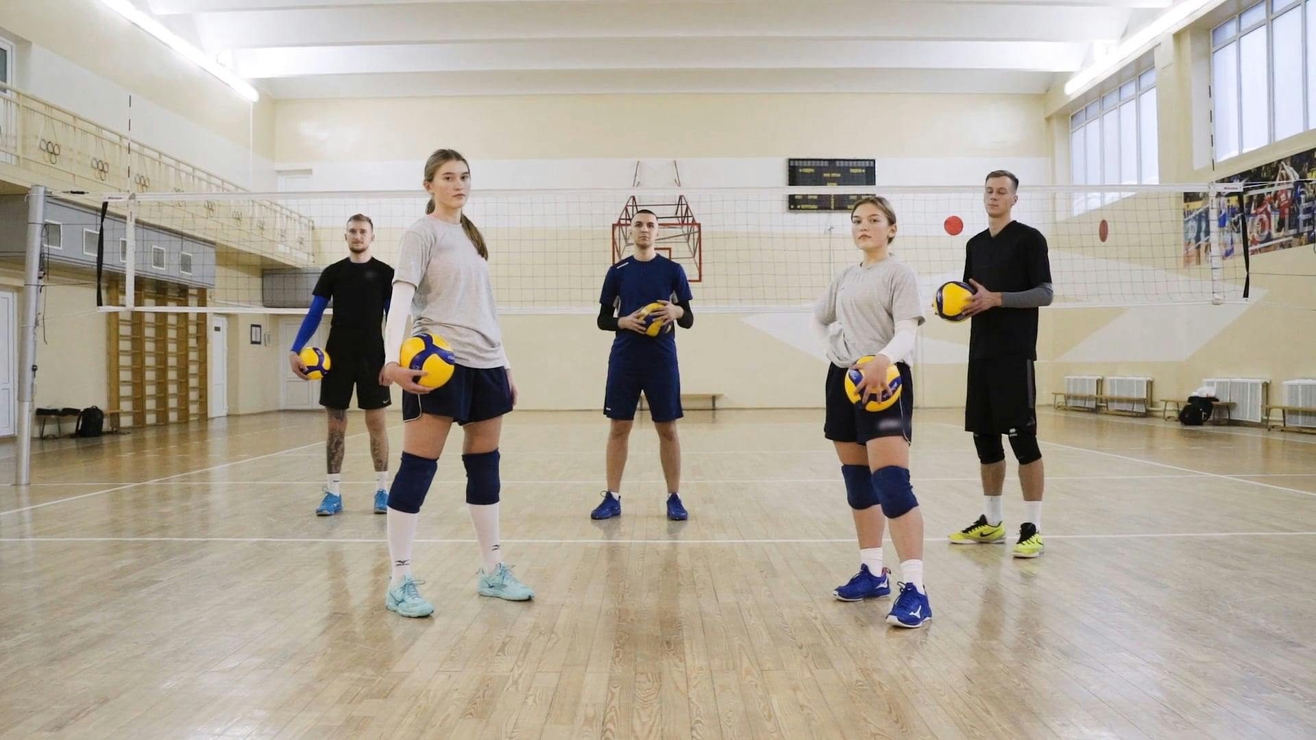 Volley Ball Videos, Download The BEST Free 4k Stock Video Footage ...