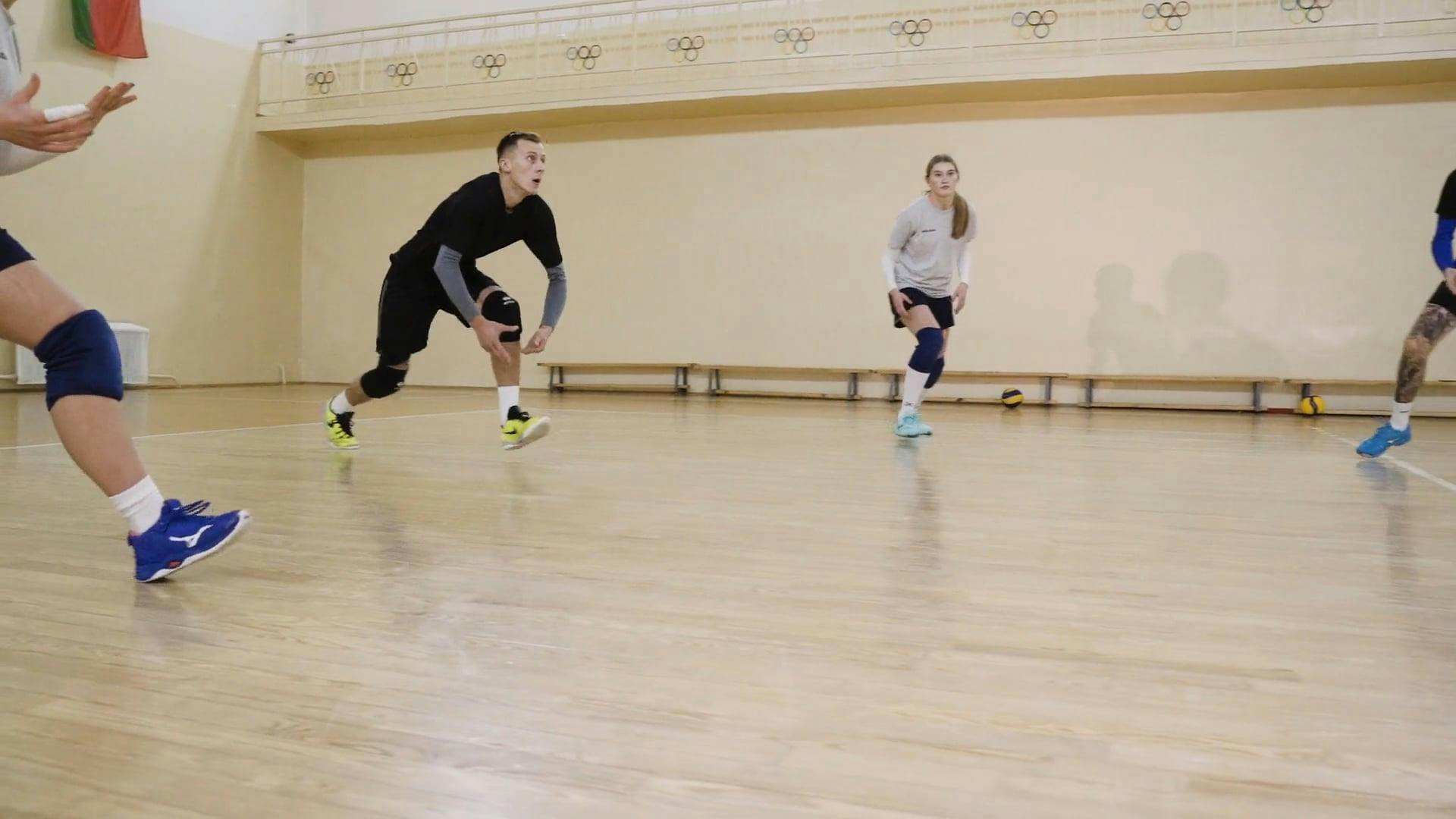 Volleyball Videos, Download The BEST Free 4k Stock Video Footage ...