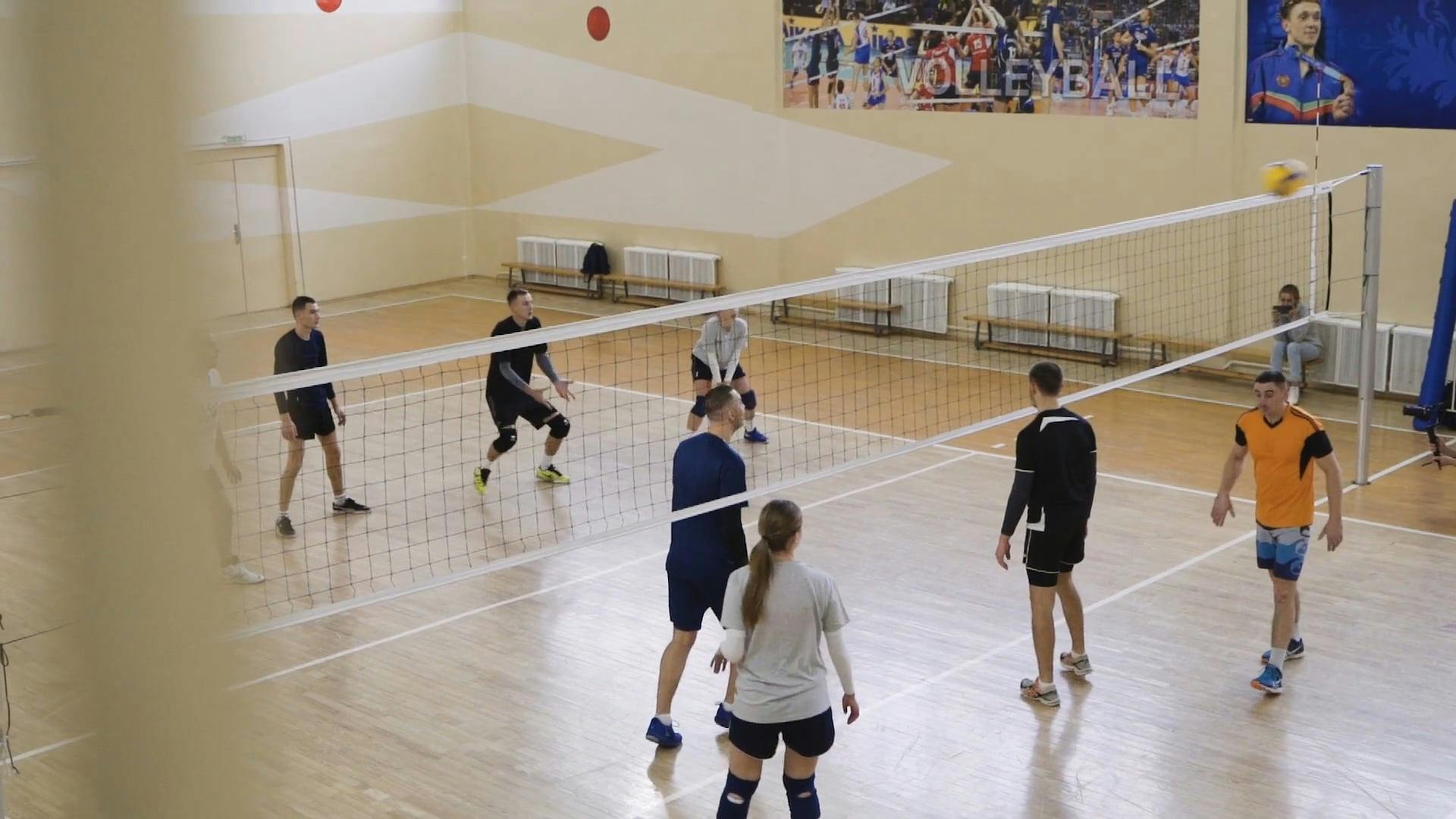 Professional Volleyball Videos, Download The BEST Free 4k Stock Video ...