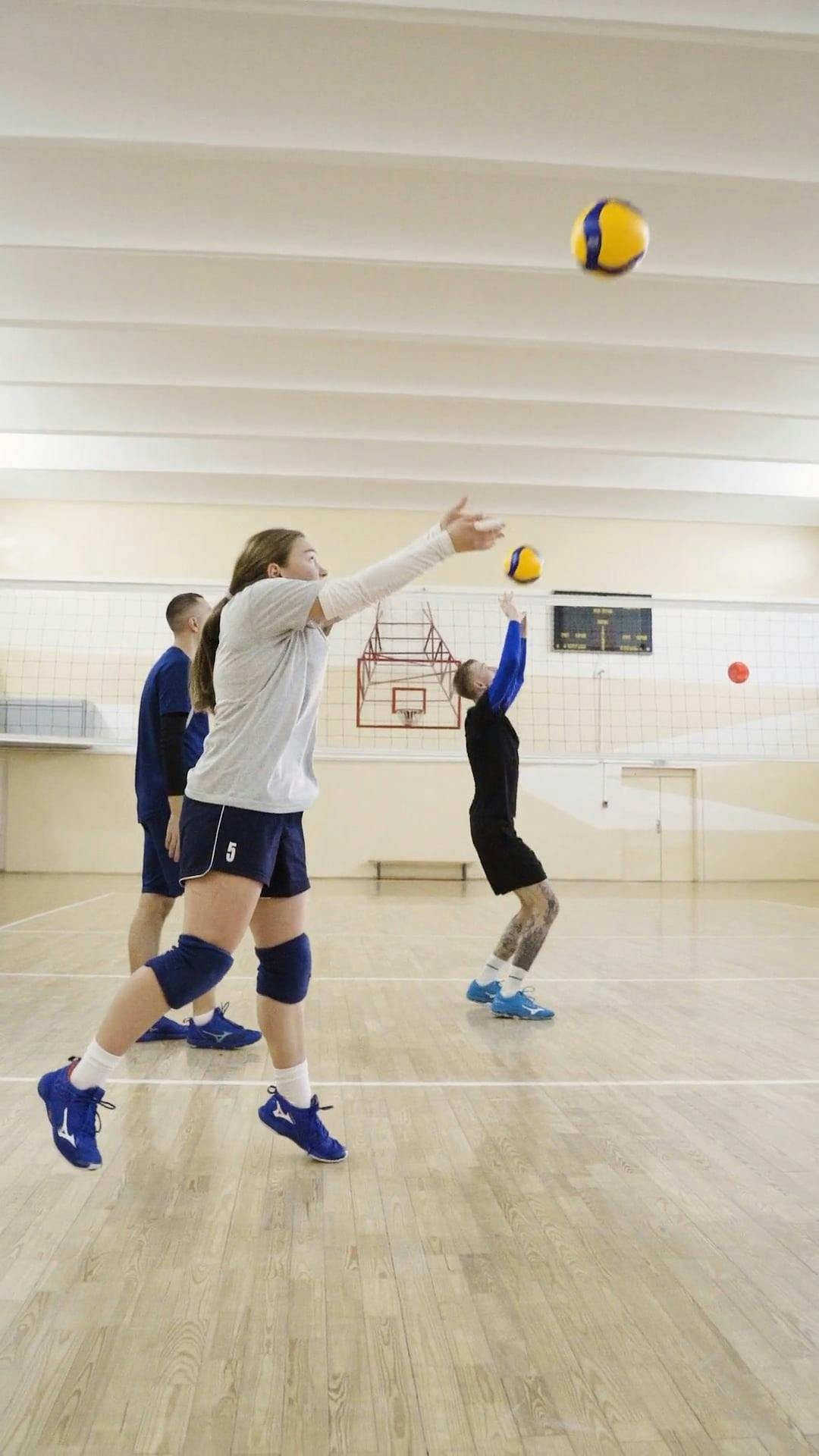 Volleyball Video Videos, Download The BEST Free 4k Stock Video Footage ...