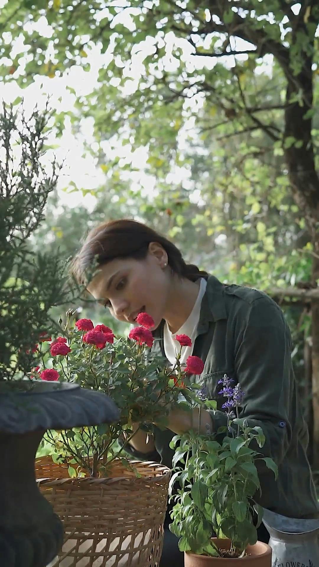 Trimming Flowers Videos, Download The BEST Free 4k Stock Video Footage ...