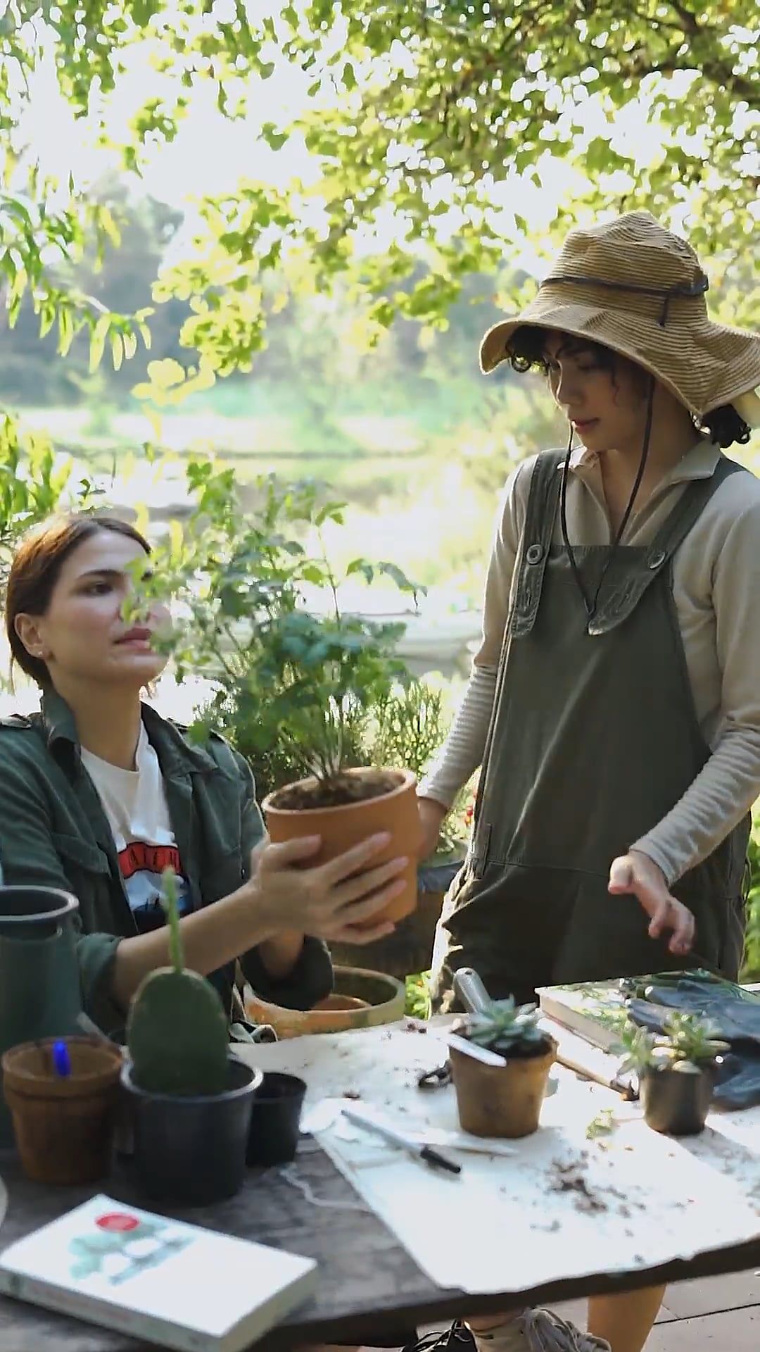 Give Plants Videos, Download The BEST Free 4k Stock Video Footage ...