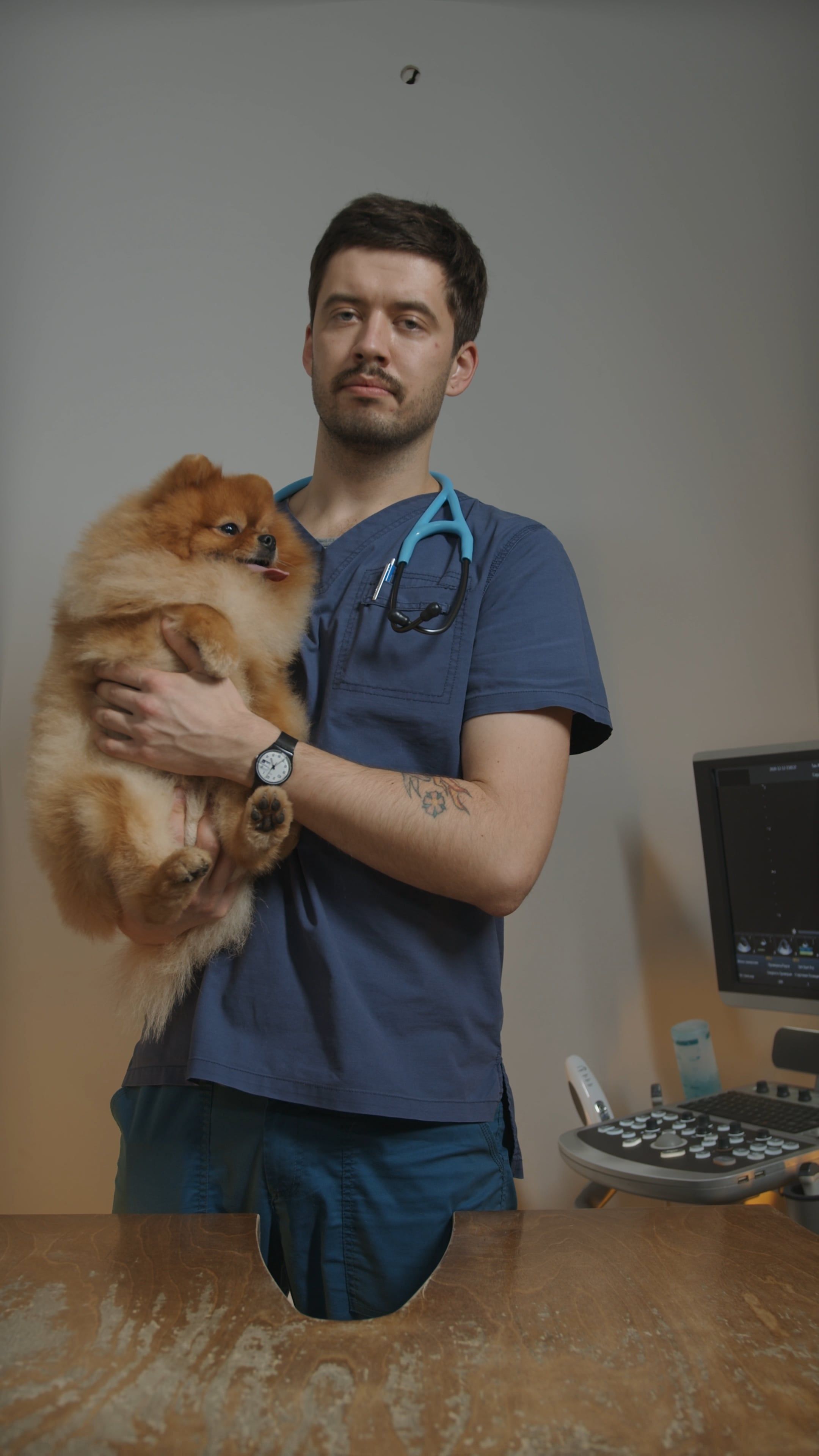 Vet Nurse Videos, Download The BEST Free 4k Stock Video Footage & Vet ...