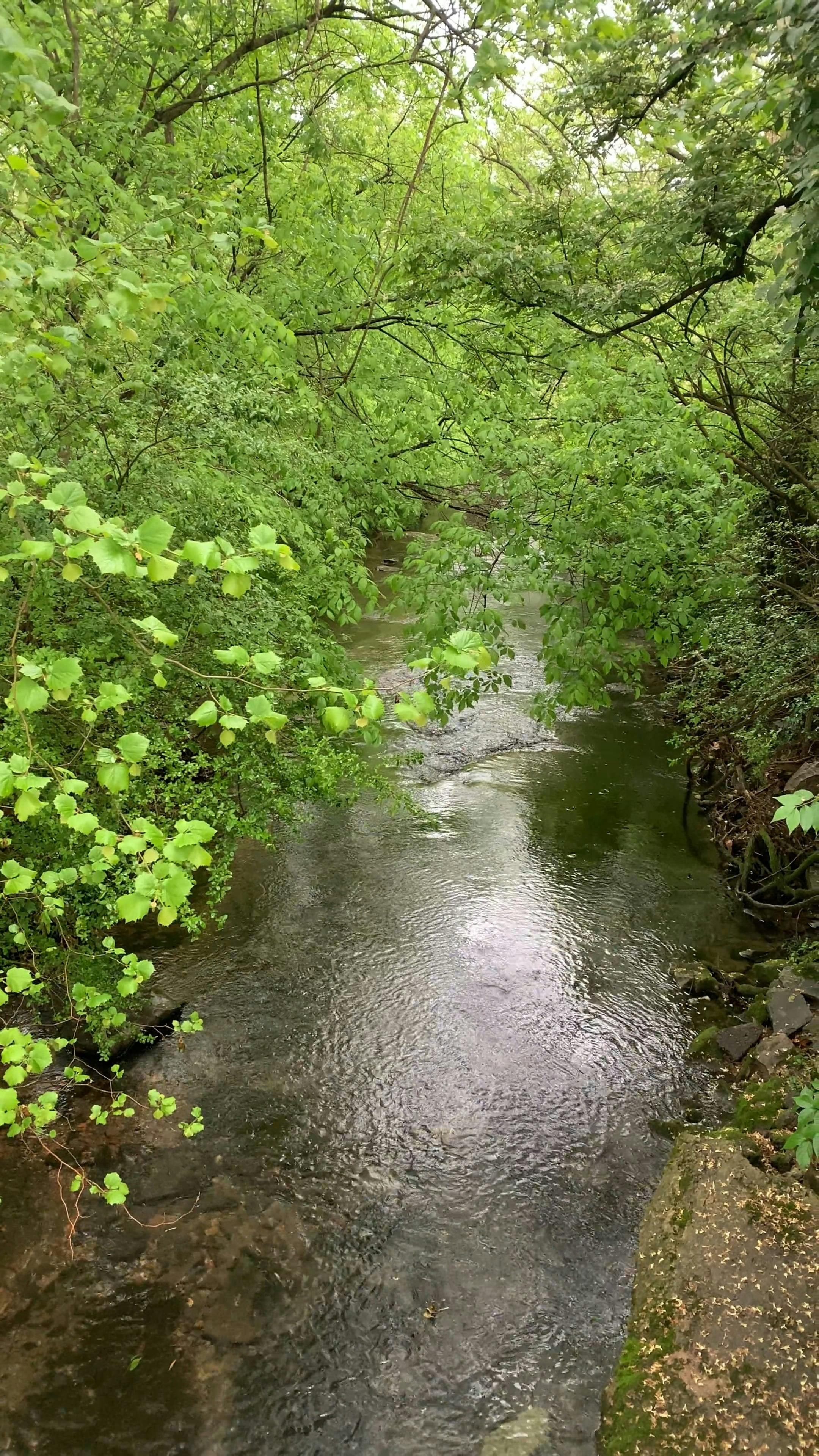 Kelly Boesch - Photography