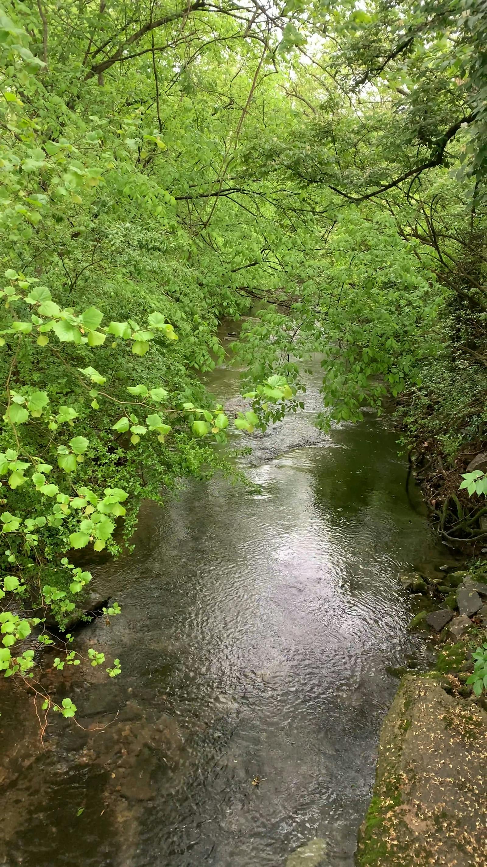 Relaxing Nature Videos, Download The BEST Free 4k Stock Video Footage ...