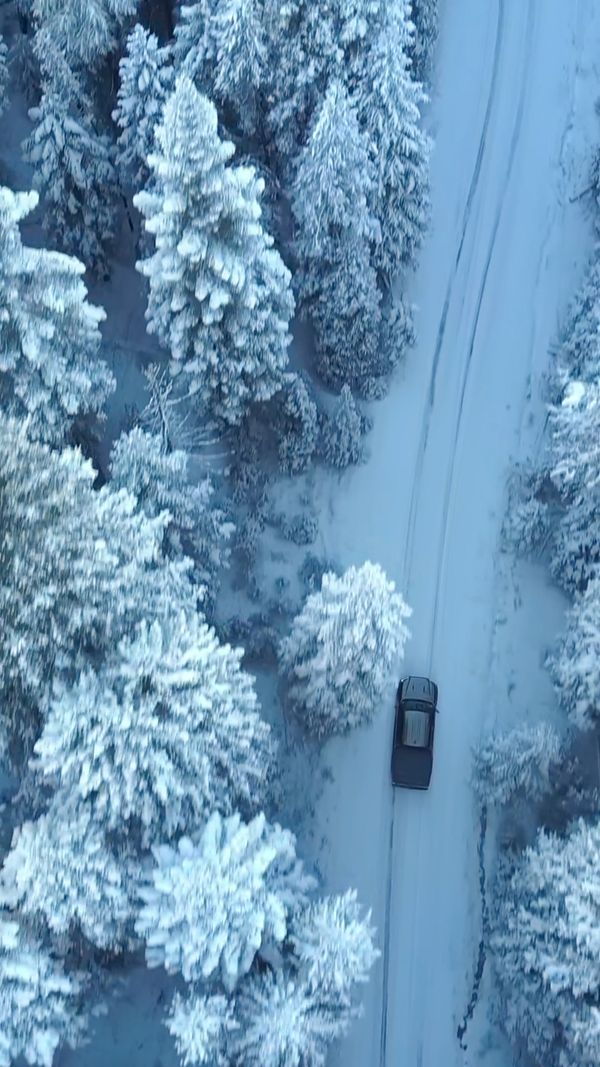Snow. Videos, Download The BEST Free 4k Stock Video Footage & Snow. HD ...
