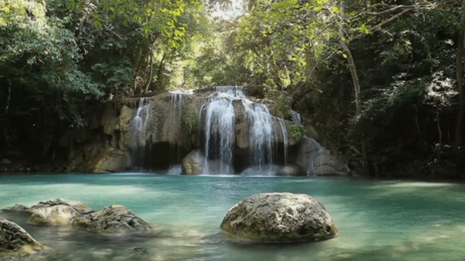 Nature Animated Videos, Download The BEST Free 4k Stock Video Footage ...