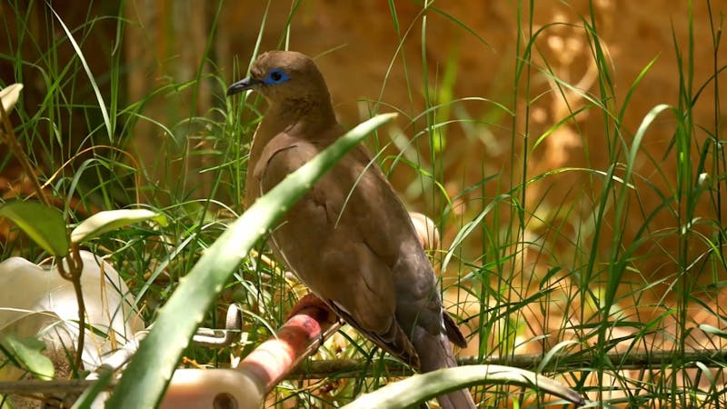 Free No Copyright Videos, Download The BEST Free 4k Stock Video Footage ...