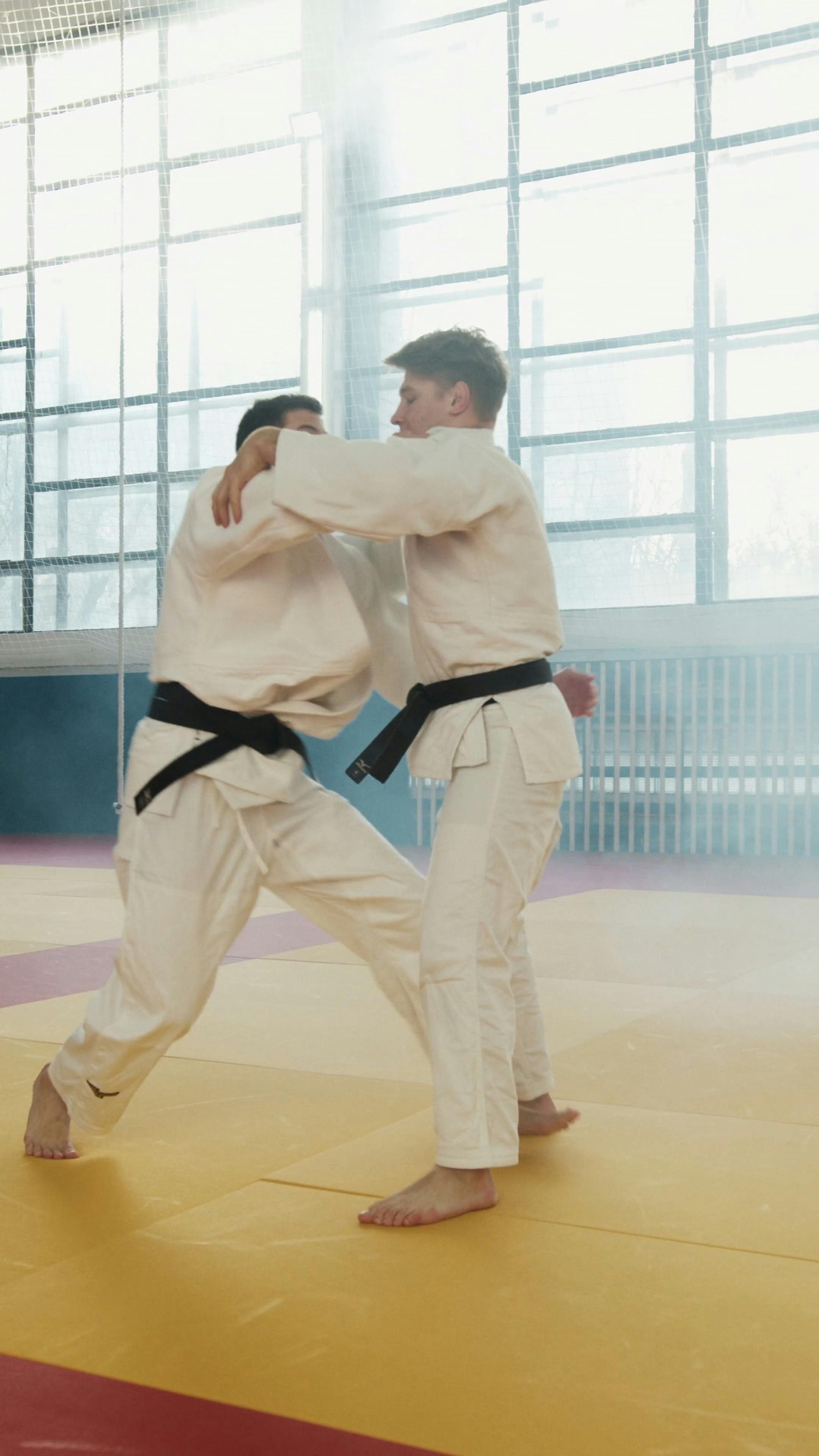 Man doing Karate · Free Stock Video