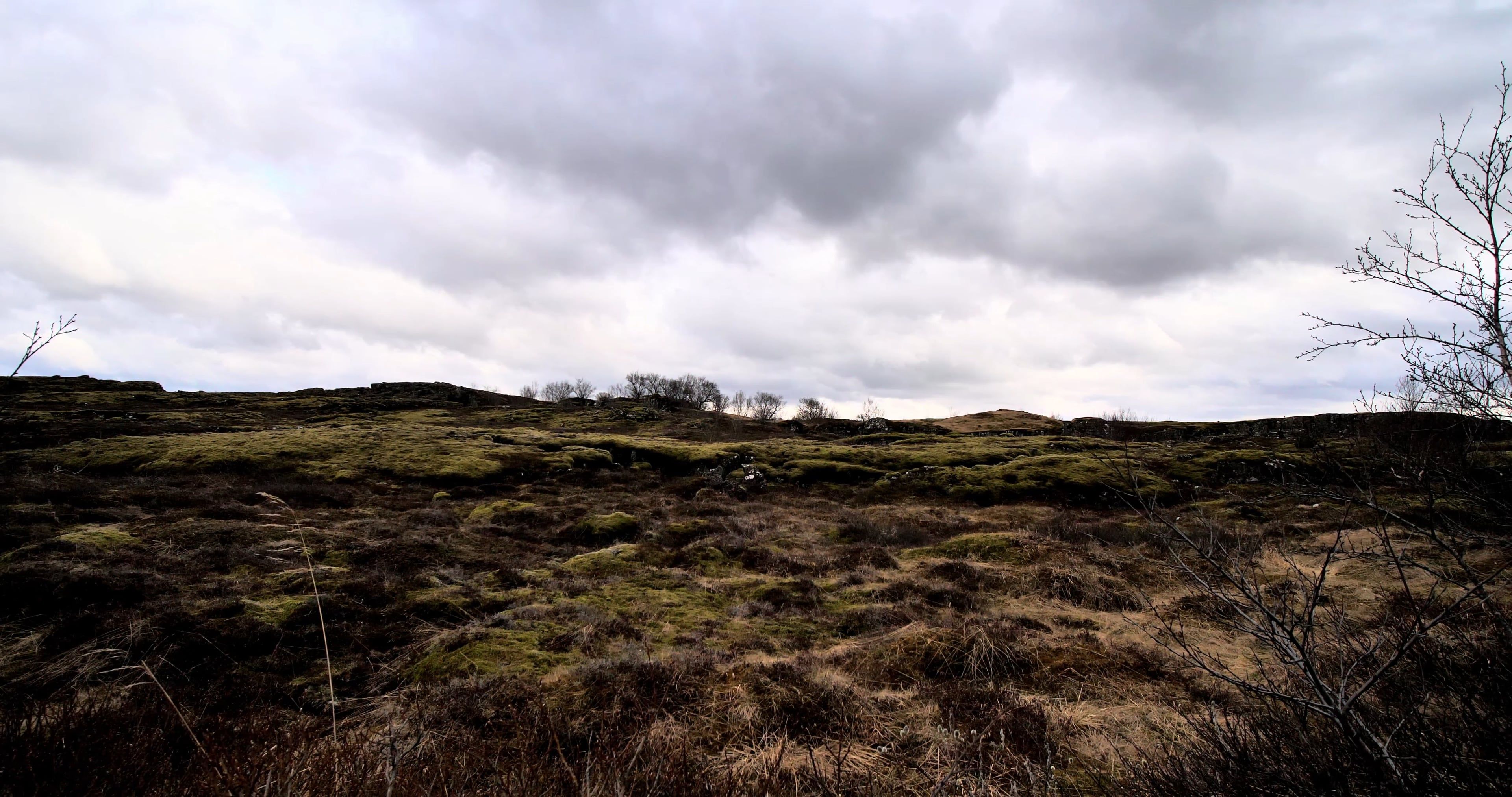 Landscape of a Field Free Stock Video Footage, Royalty-Free 4K & HD ...