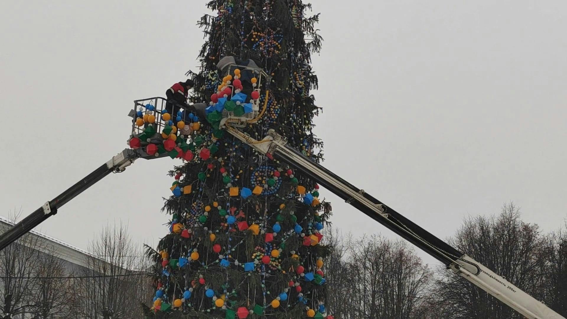 The Workers Preparing The Christmas Tree For the Holidays Free Stock ...