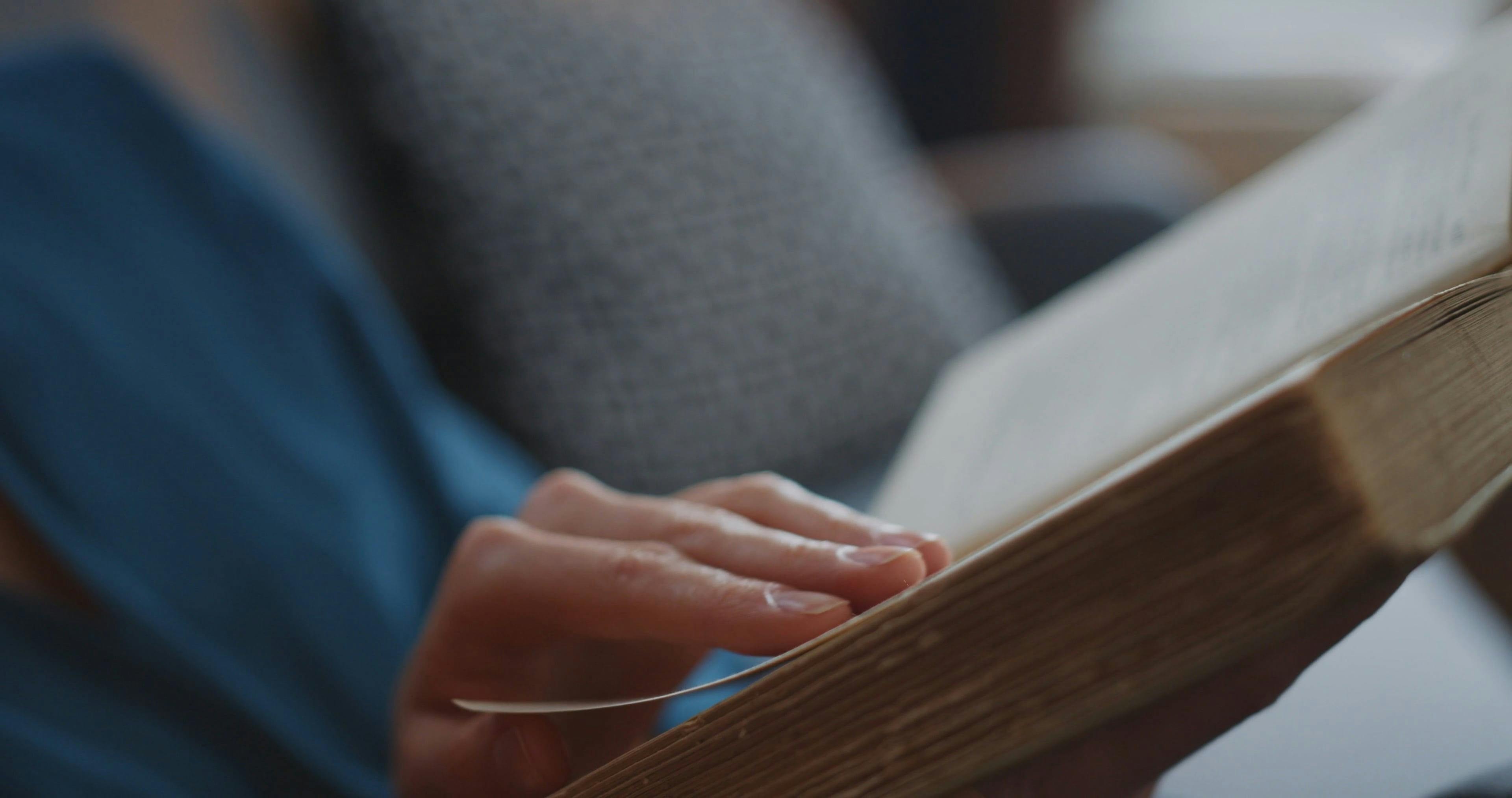 Person Reading an Old Book Free Stock Video Footage, Royalty-Free 4K ...