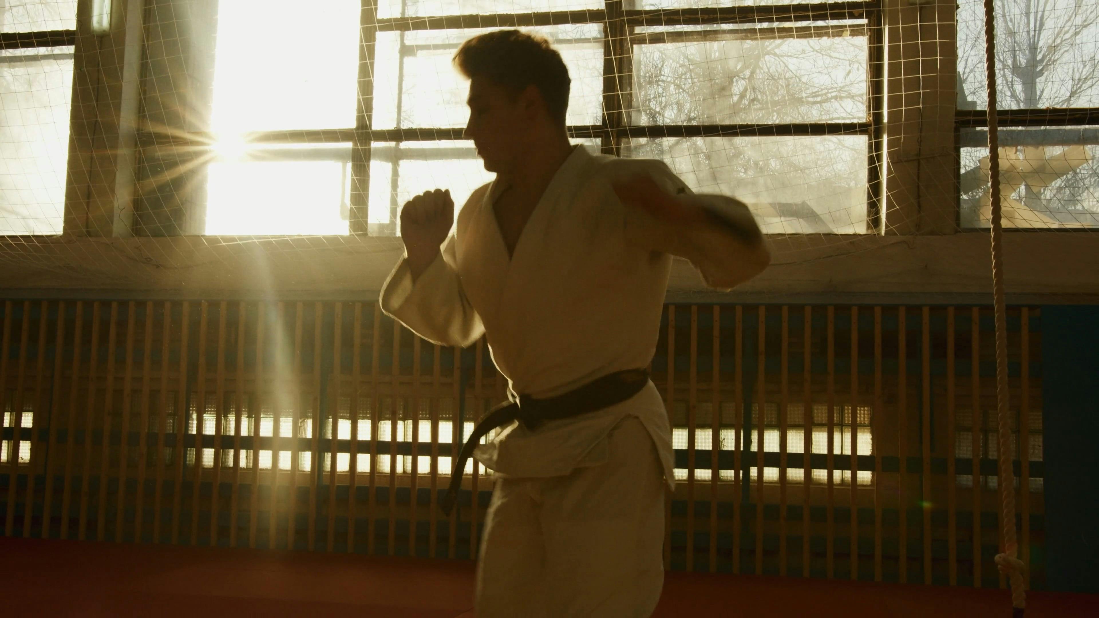 Person Doing Judo Free Stock Video Footage, Royalty-Free 4K & HD Video Clip