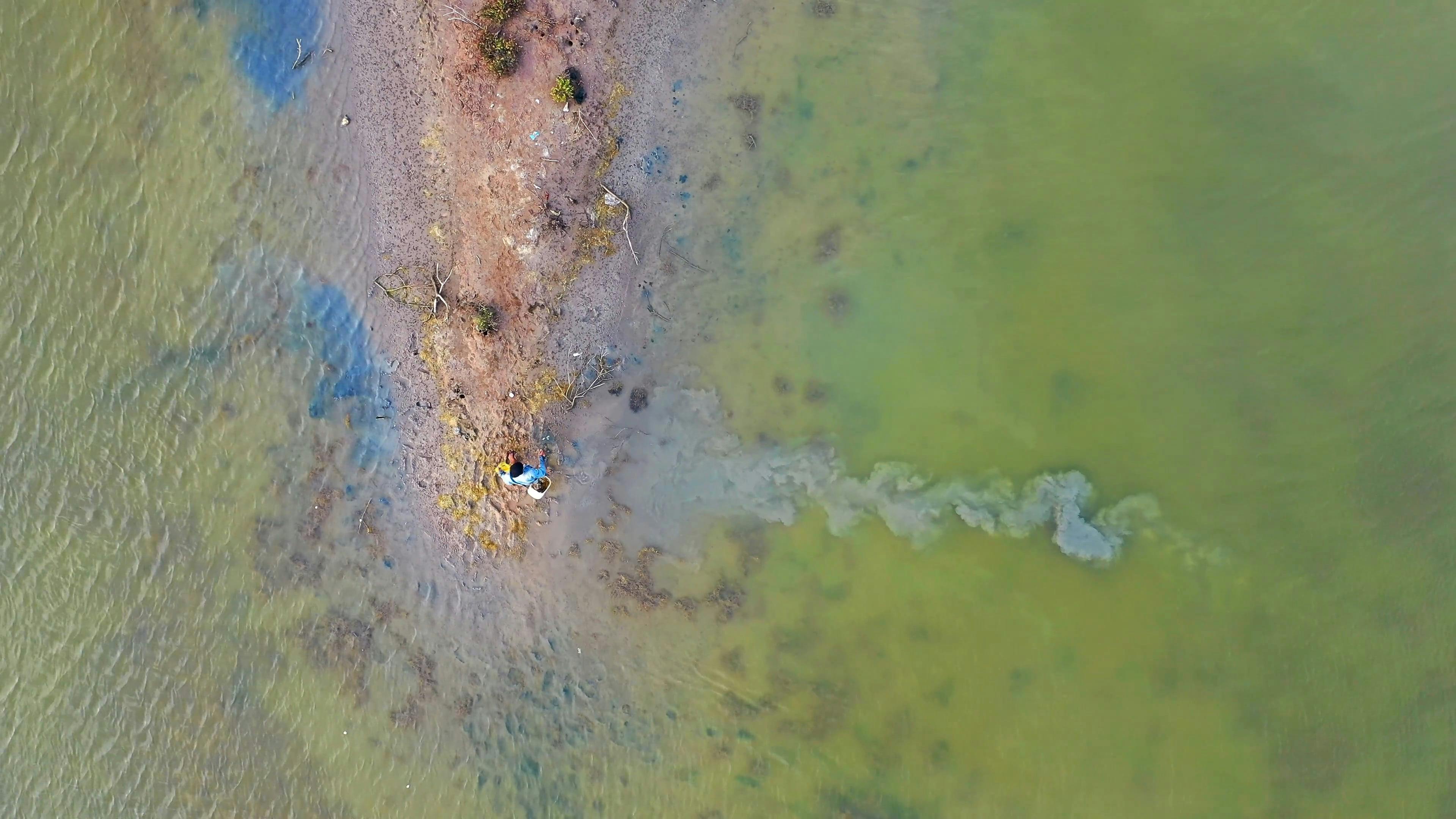 Aerial Footage of a Person Throwing a Thing on the Lake Free Stock ...