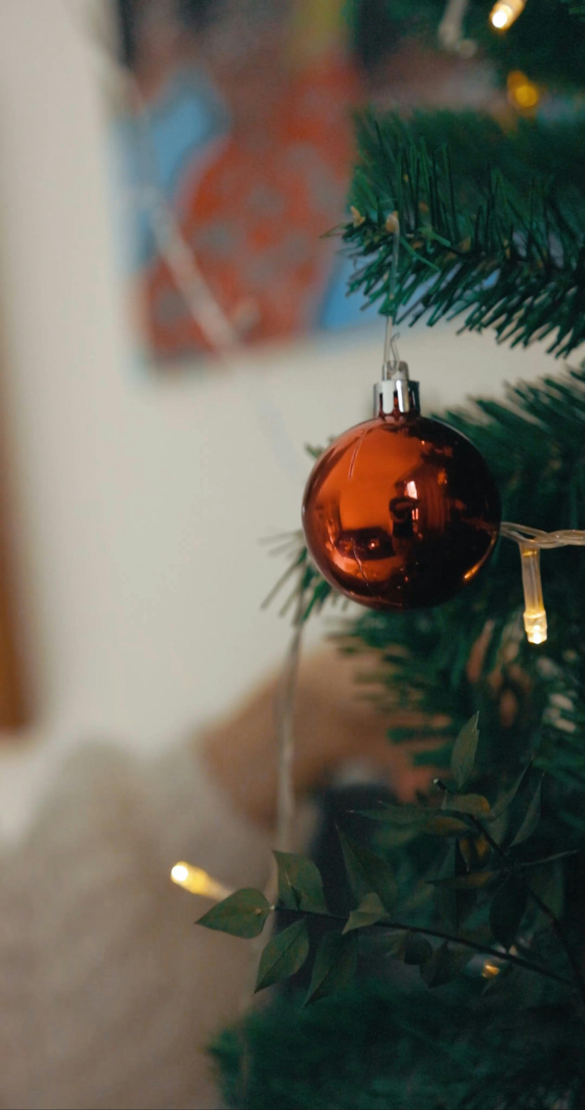 Jolly Background Videos, Download The BEST Free 4k Stock Video Footage ...