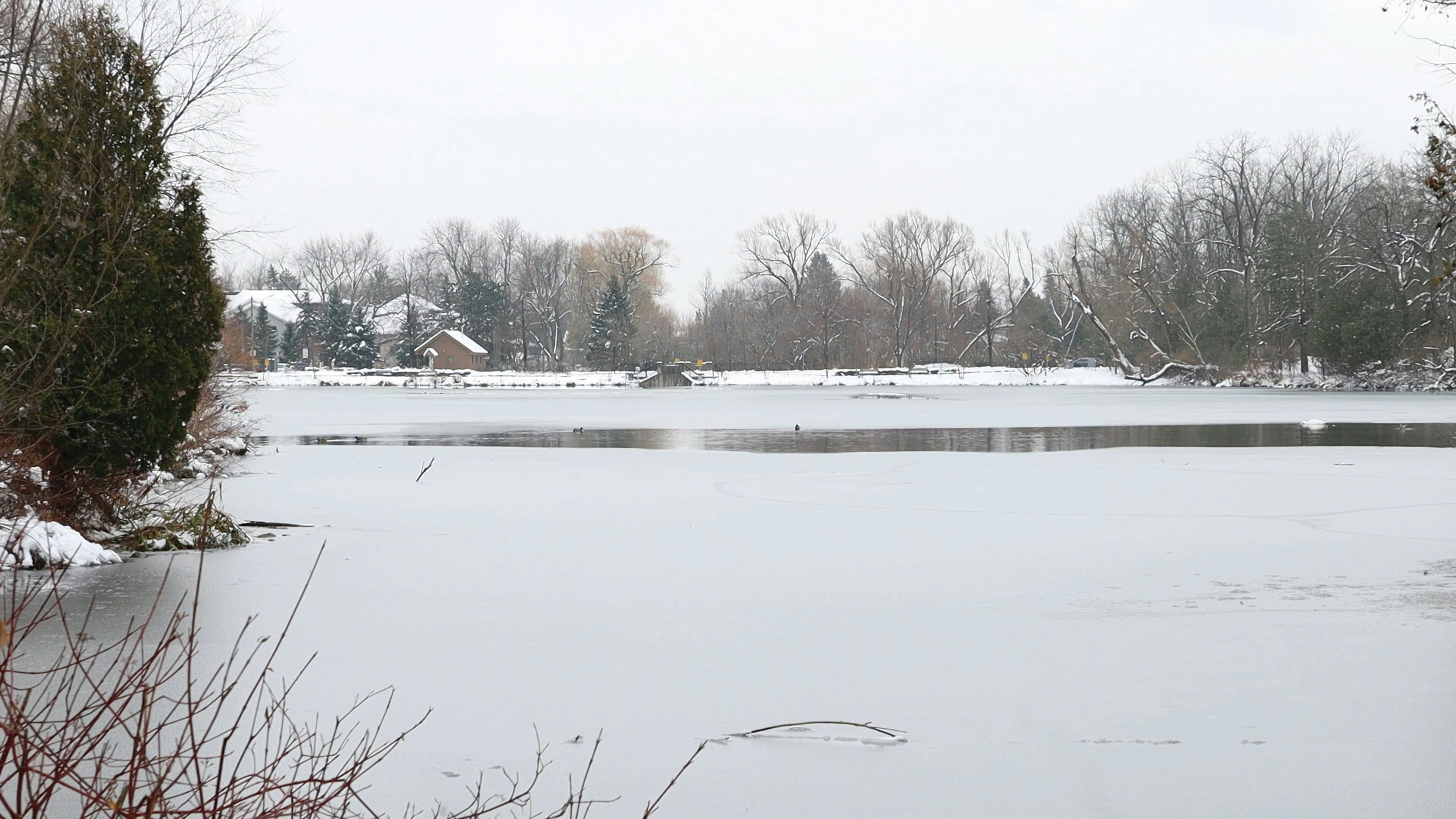 Downloading Unknown Files Videos, Download The BEST Free 4k Stock Video ...