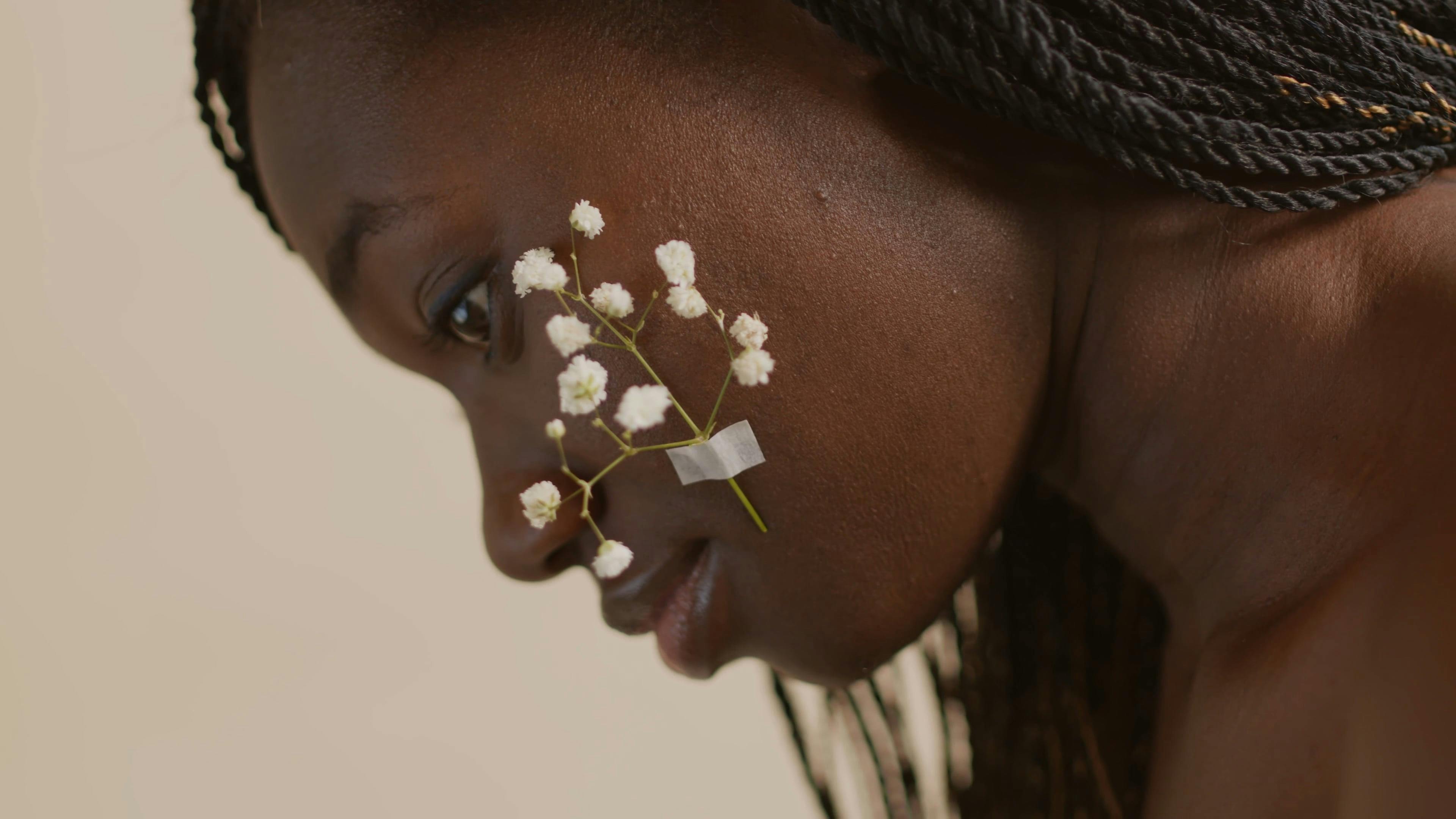 Dutch Face Videos, Download The BEST Free 4k Stock Video Footage ...