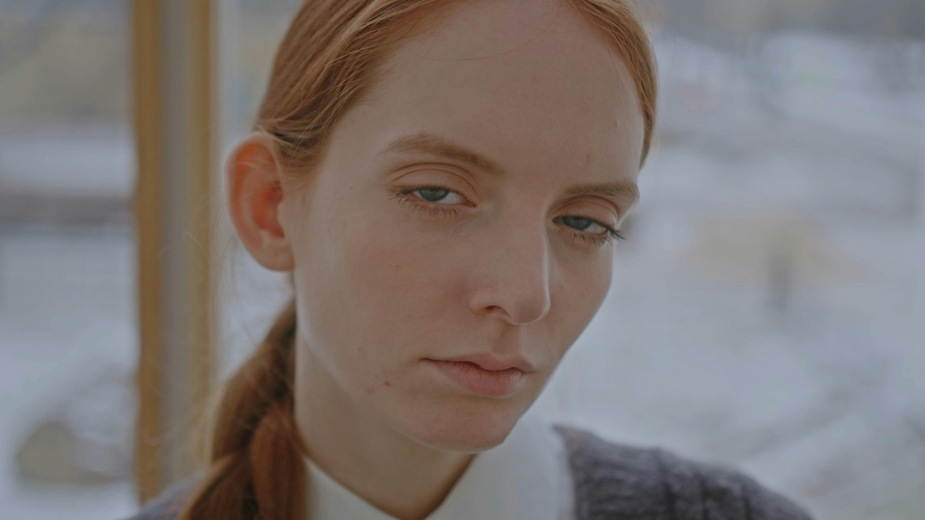 Parrot Real With Subtle Background Videos, Download The BEST Free 4k ...