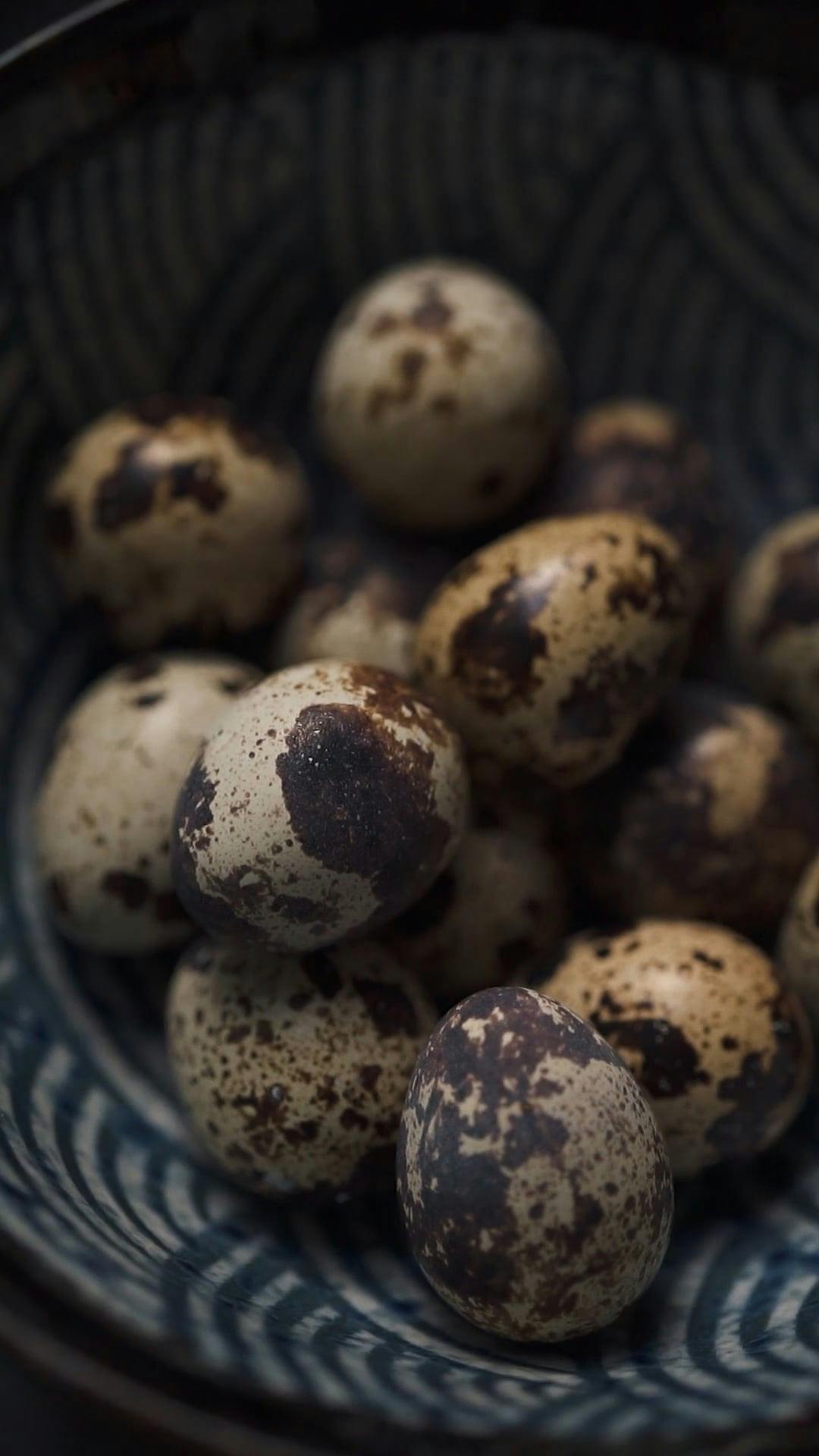 Close Up Video of Quail Eggs · Free Stock Video