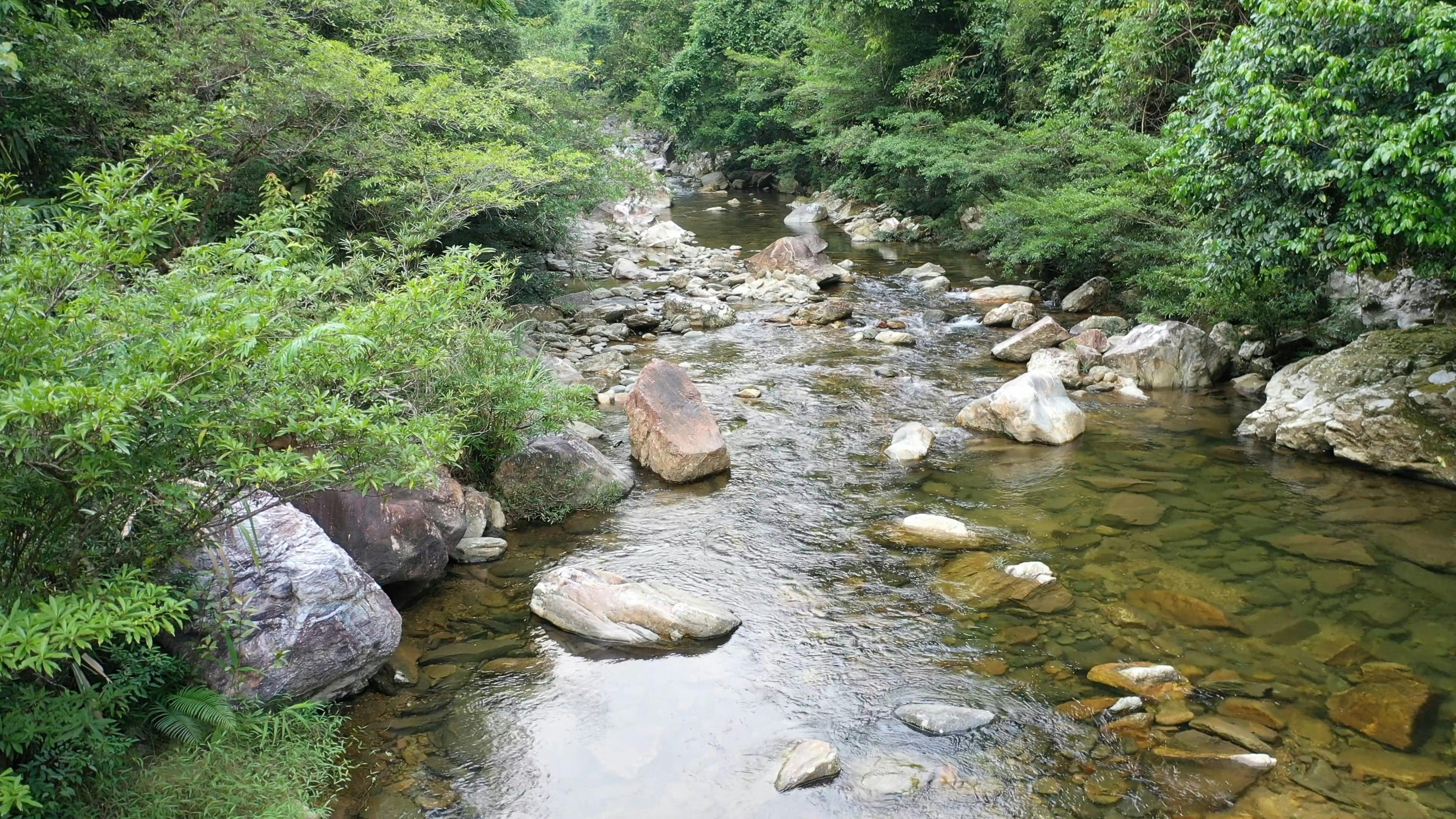 River Stream On A Bed Of Rocks Free Stock Video Footage, Royalty-Free ...