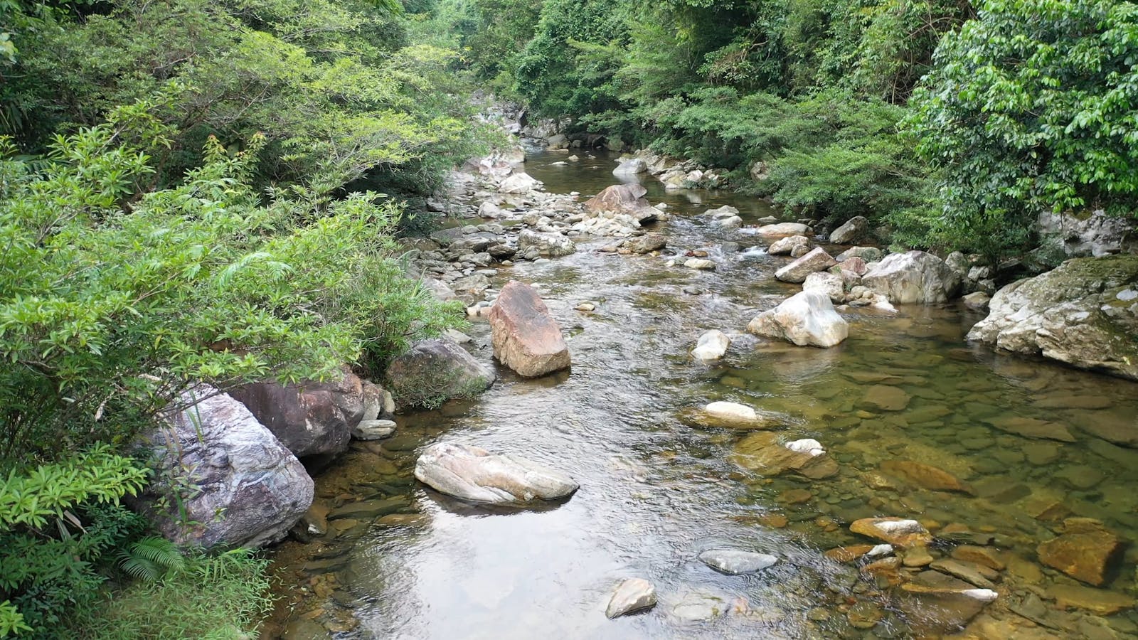 Water Stream Videos, Download The BEST Free 4k Stock Video Footage ...