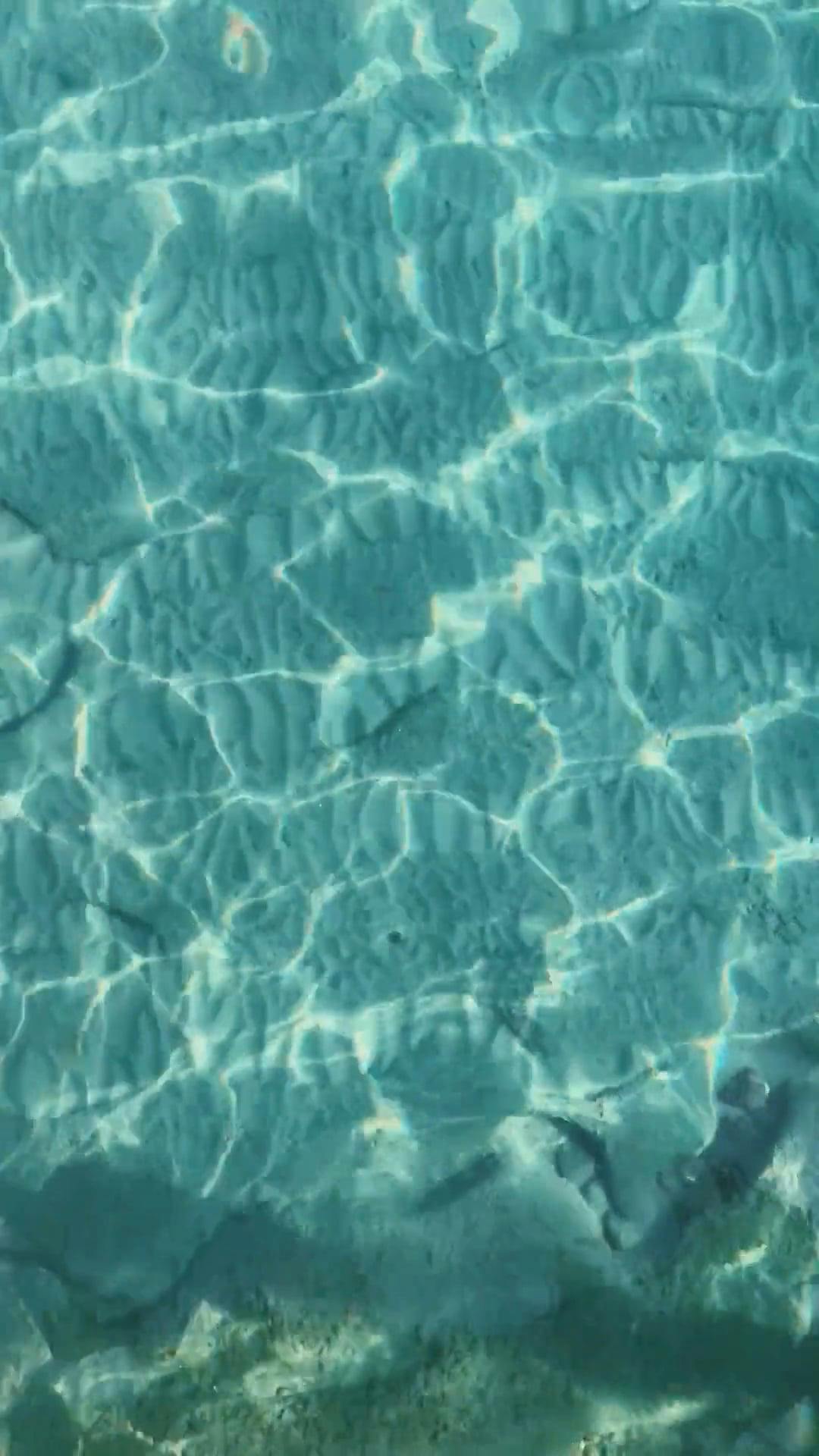 Video of Swimming Pool With Sun Reflection Free Stock Video Footage ...