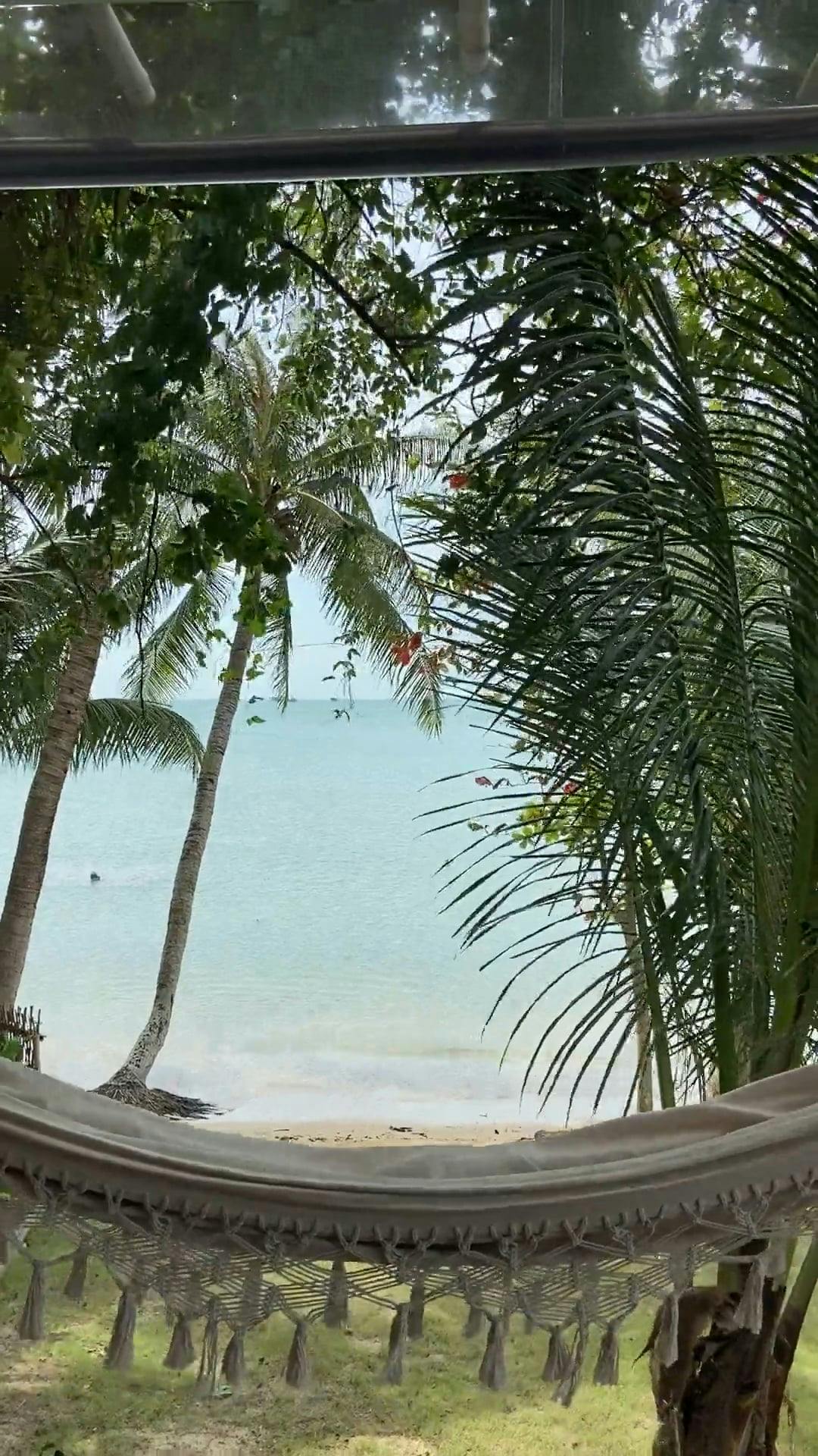 A Hammock Hanging with a Beautiful View · Free Stock Video