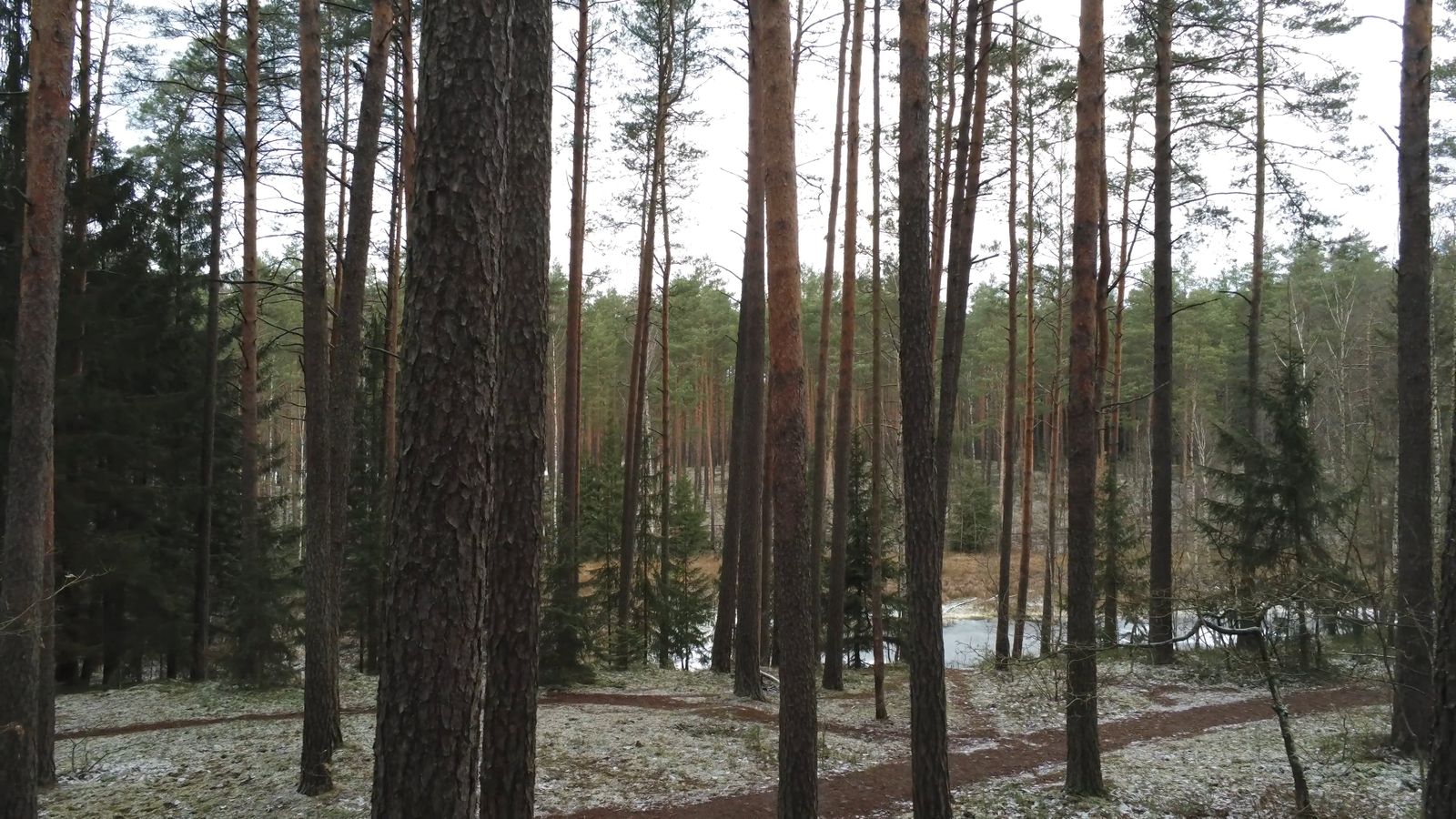 Lithuania Videos Download The Best Free 4k Stock Video Footage