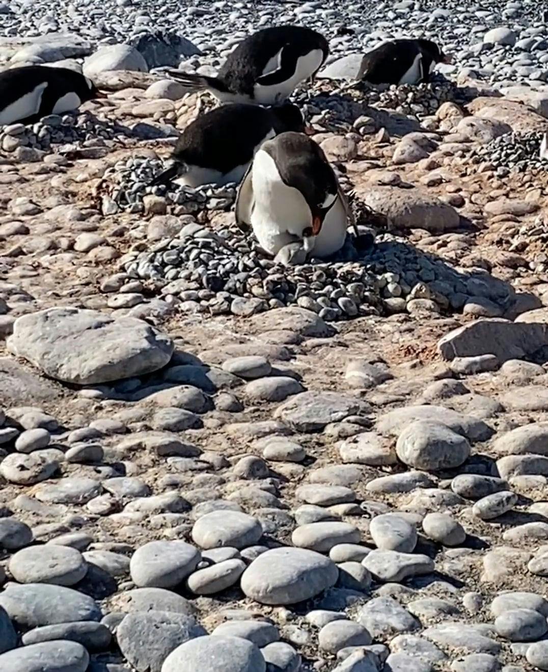 Karson - Photography