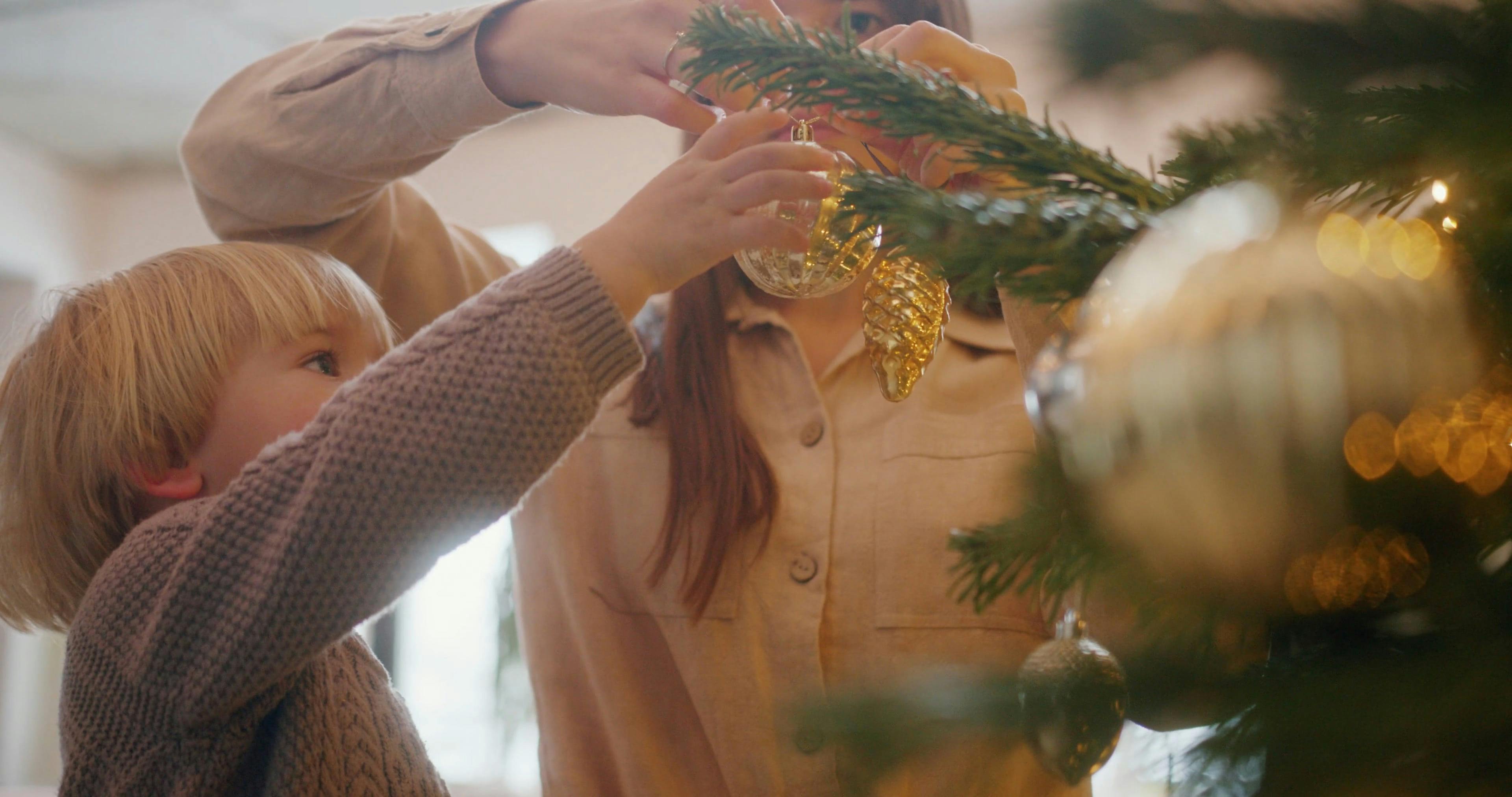 People Decorating A Christmas Tree Free Stock Video Footage, Royalty ...