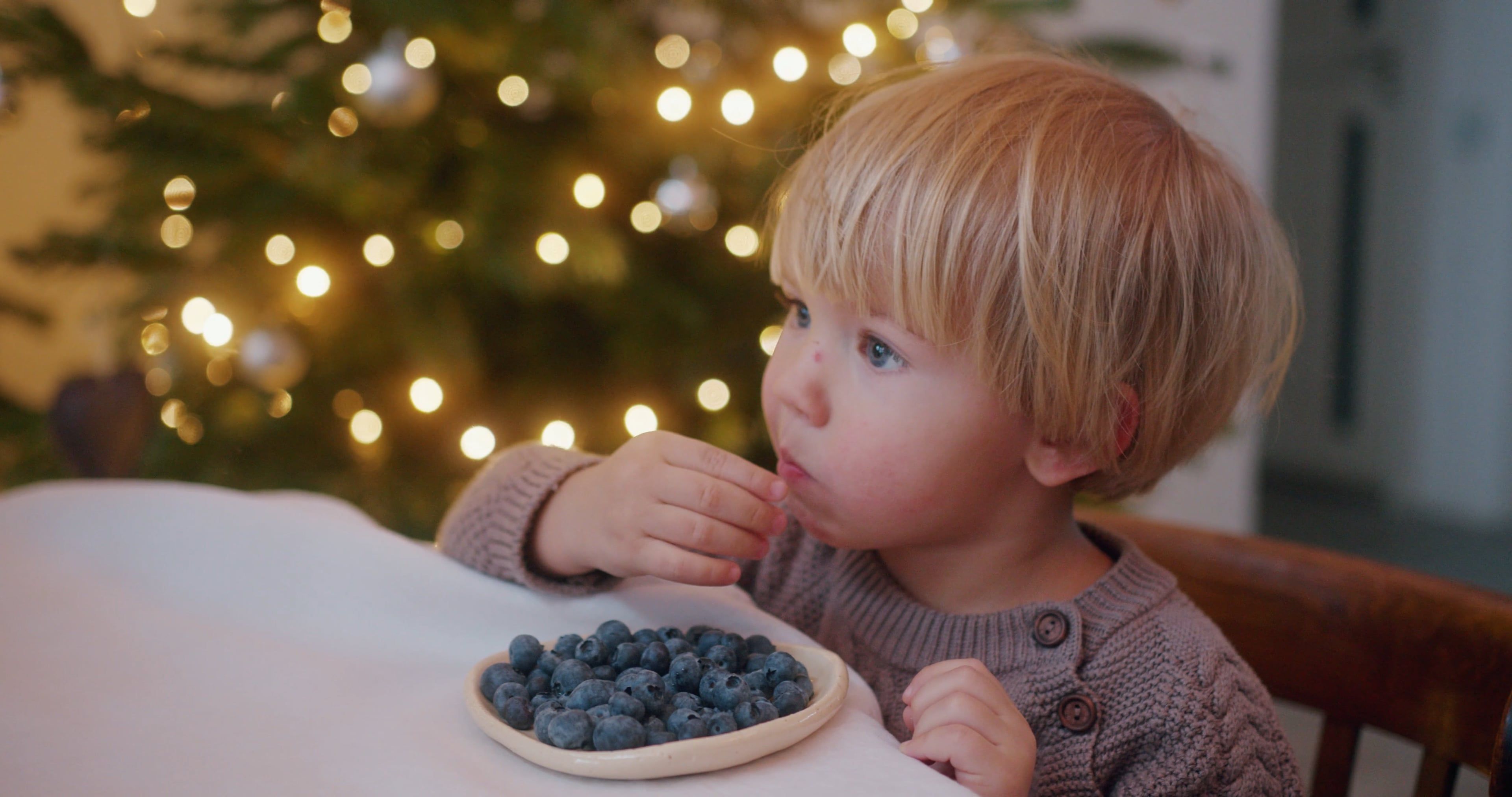 Kids Eat Blueberries Videos, Download The BEST Free 4k Stock Video ...