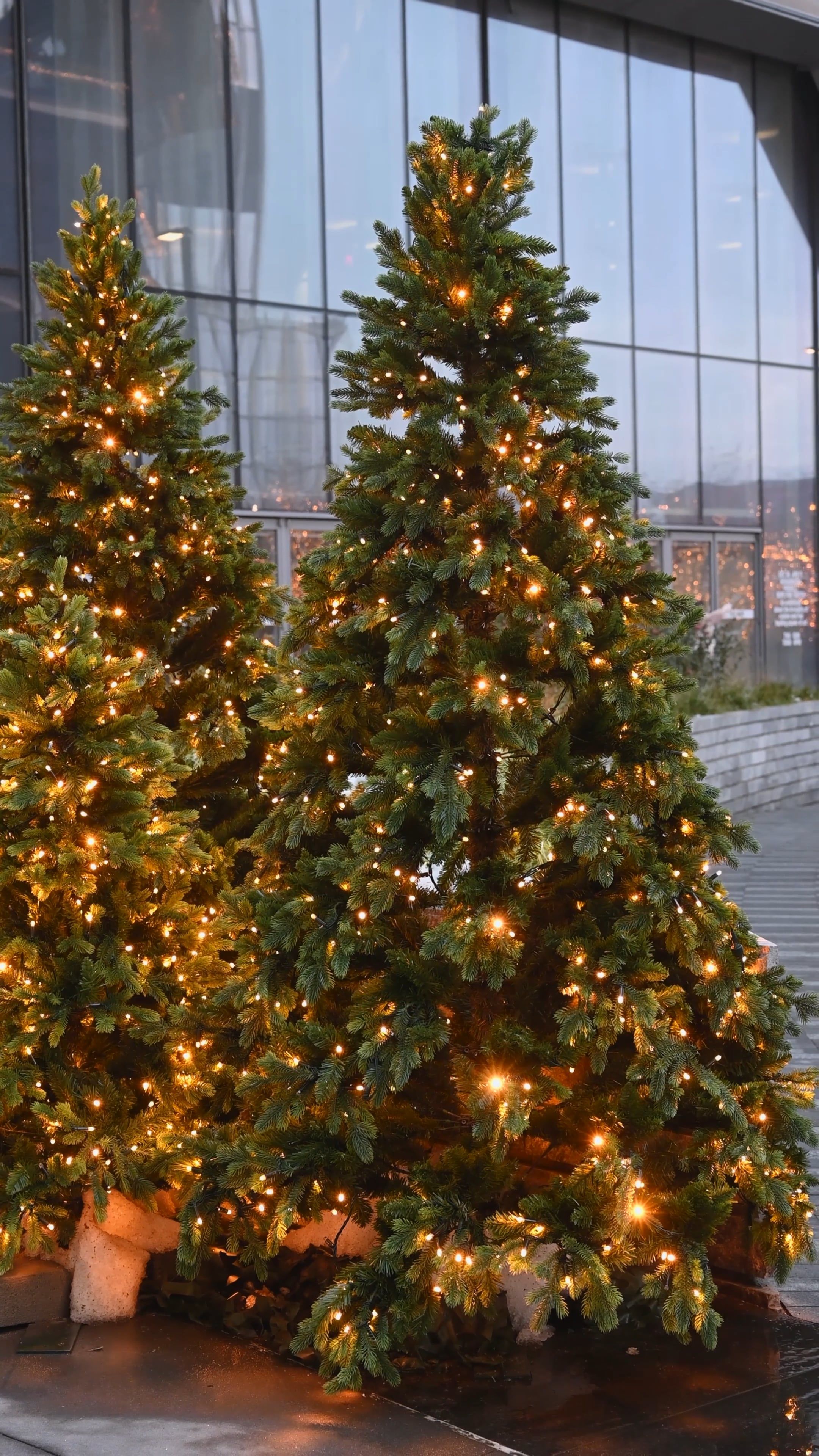 Illuminated Christmas Tree · Free Stock Video