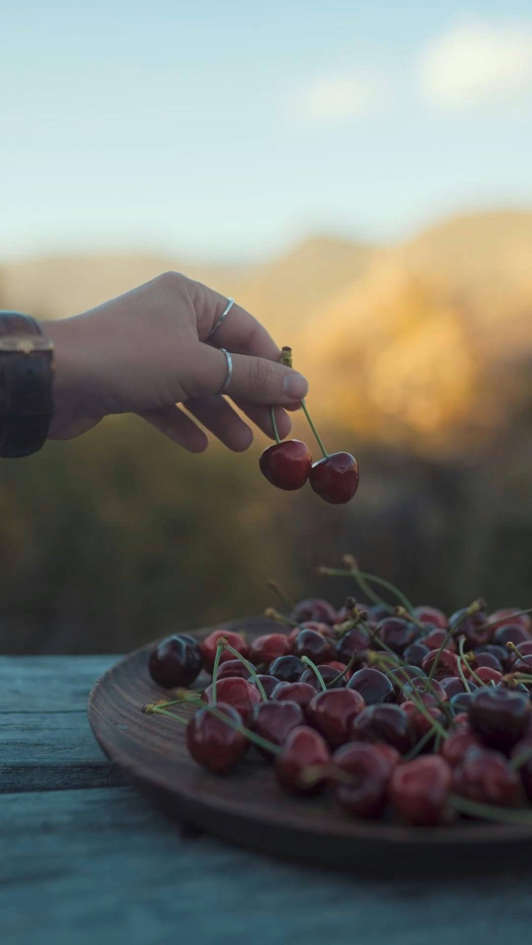 Plenty Of Harvest Videos, Download The BEST Free 4k Stock Video Footage & Plenty Of Harvest HD ...