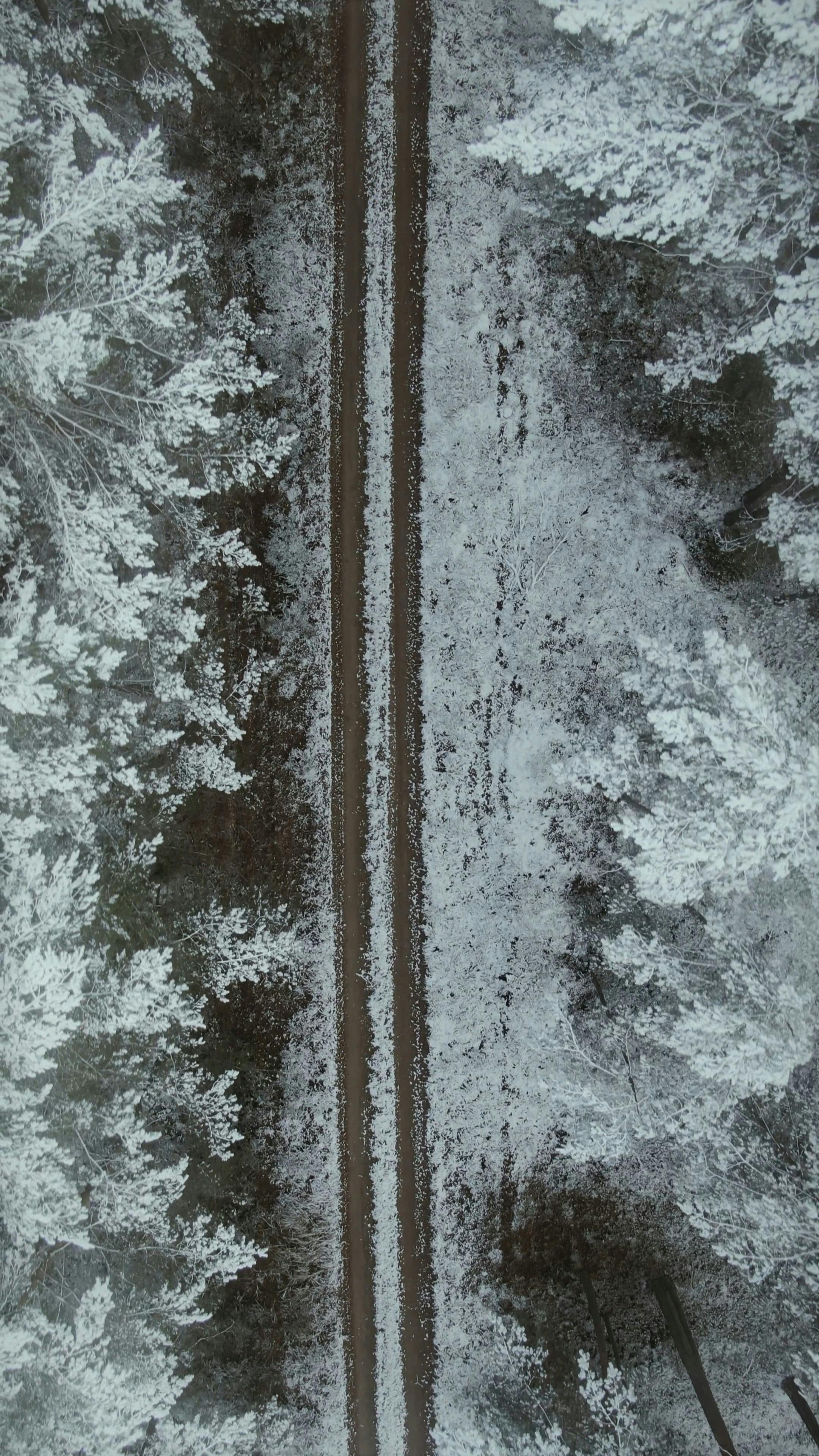 40,000+ Best Snow Photos · 100% Free Download · Pexels Stock Photos