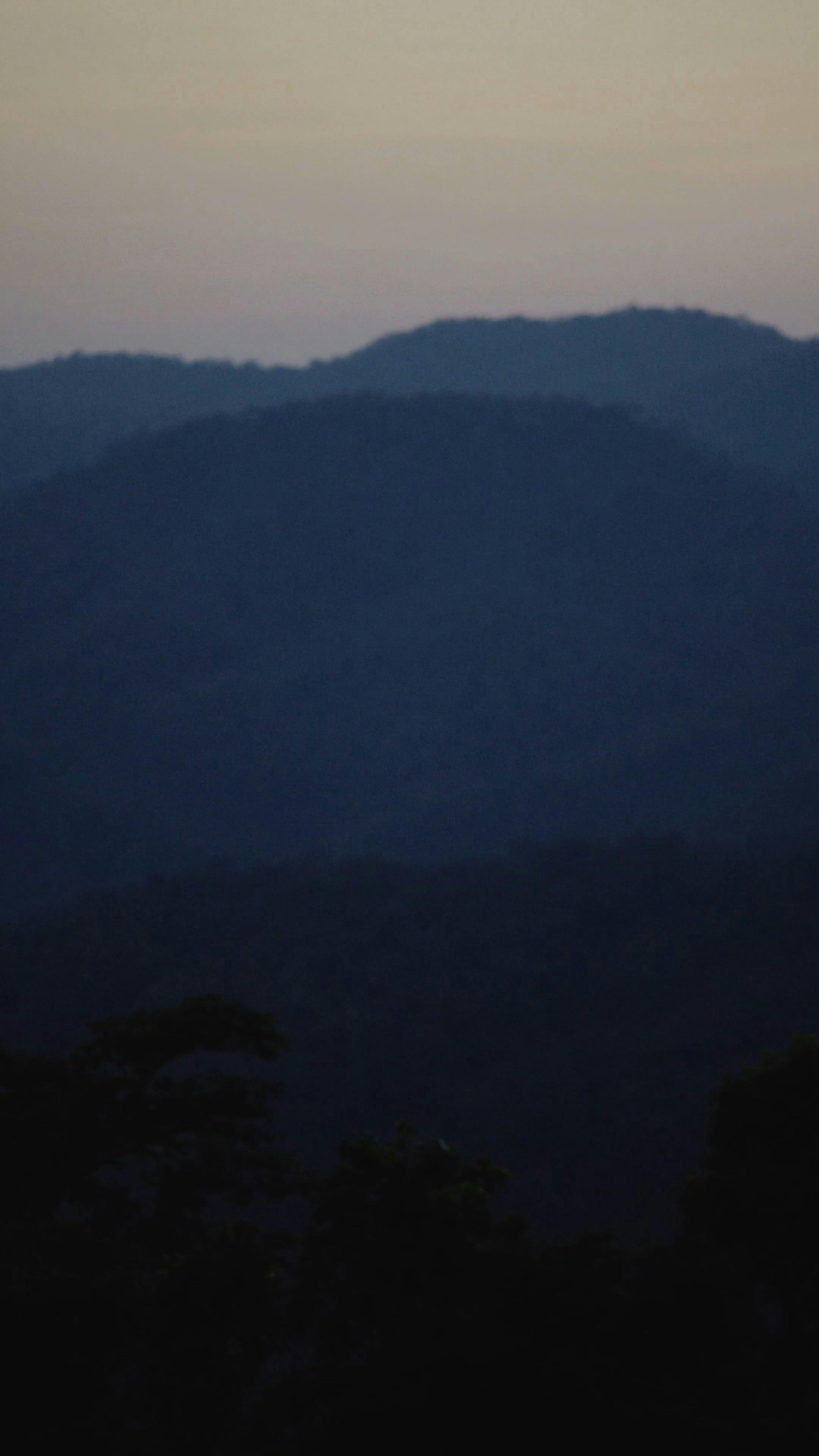 Dim Nature Videos Videos, Download The BEST Free 4k Stock Video Footage ...