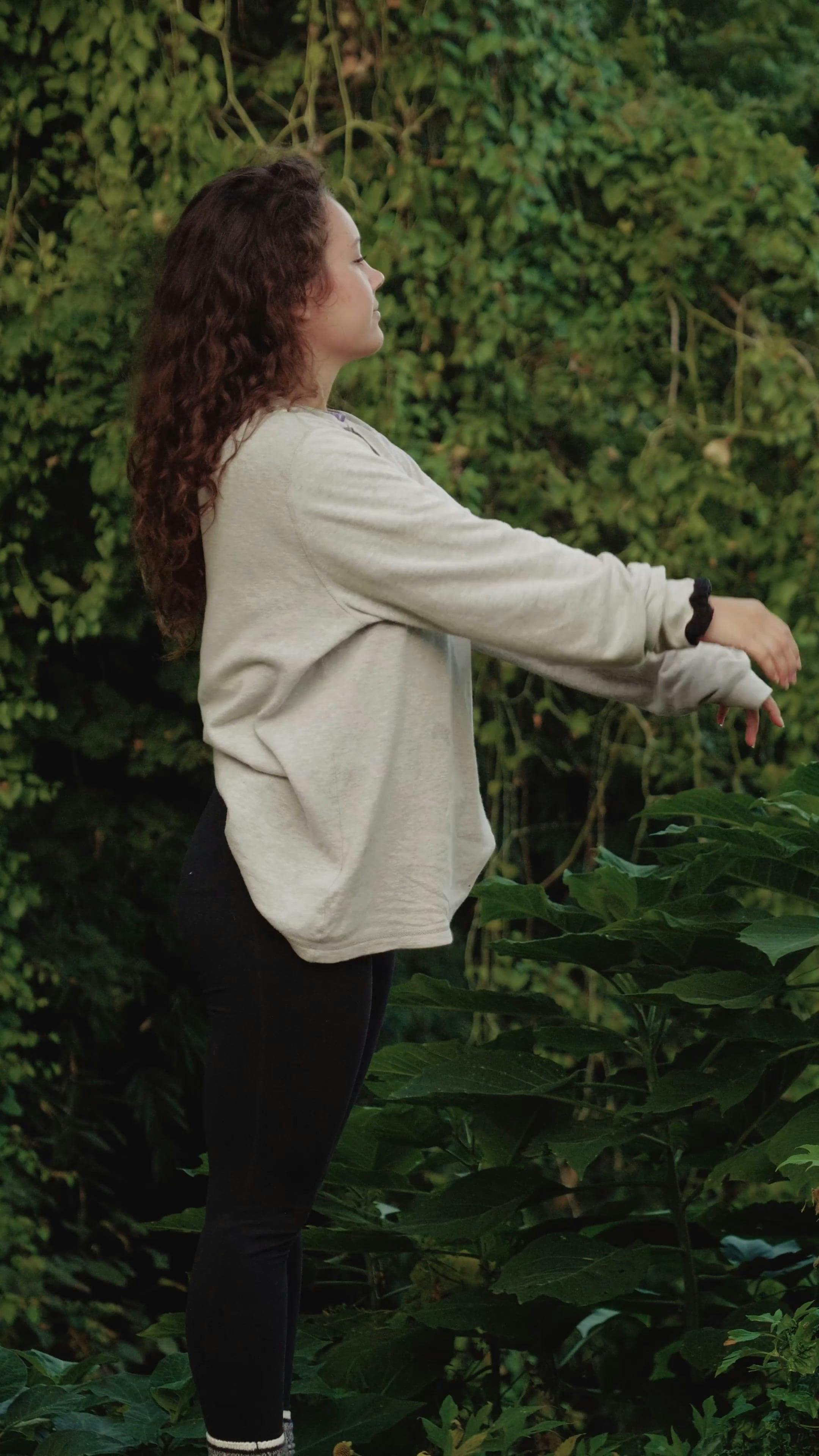 Tree Align Videos, Download The BEST Free 4k Stock Video Footage & Tree ...