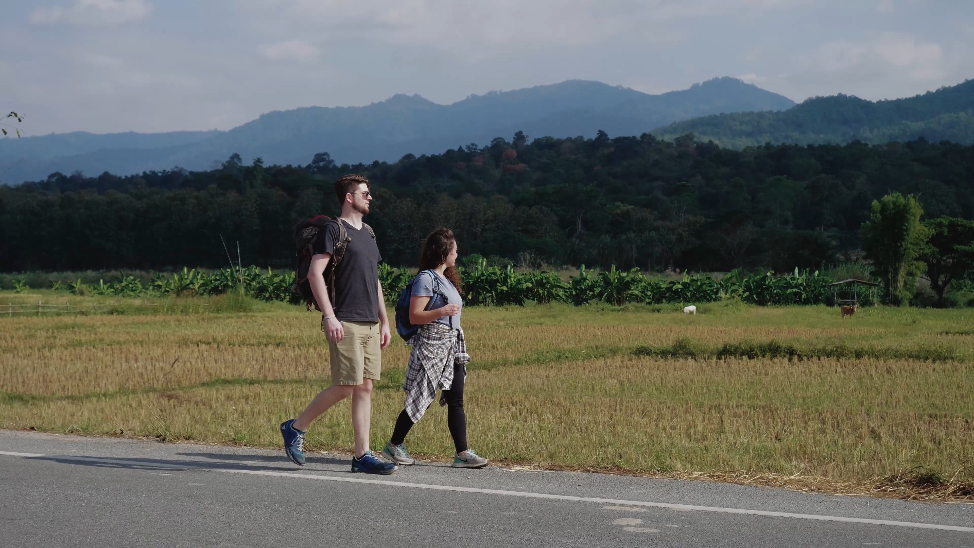 People Walking On Side Of The Road Free Stock Video Footage, Royalty ...