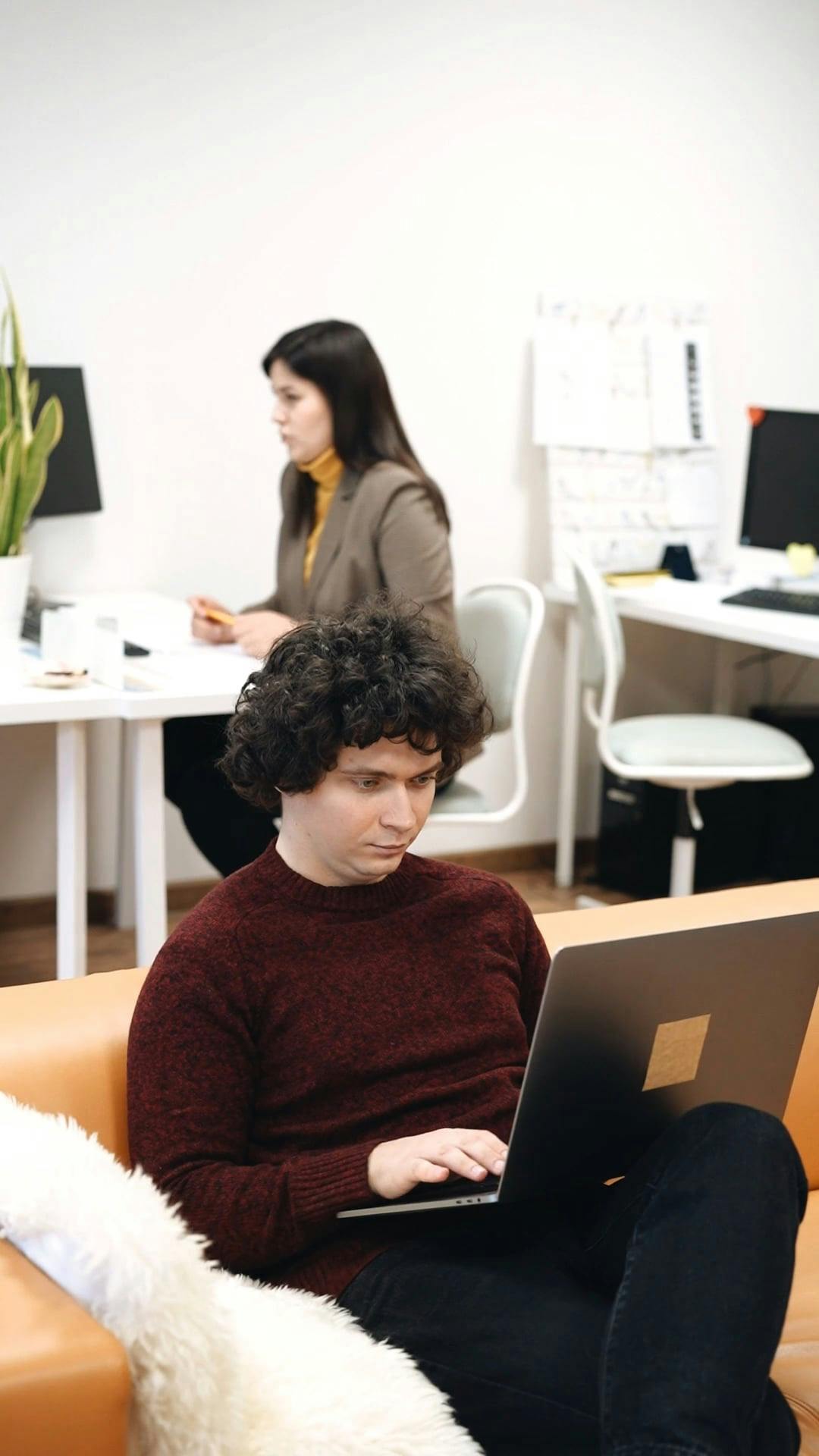 Women Working Independently in the Office · Free Stock Video