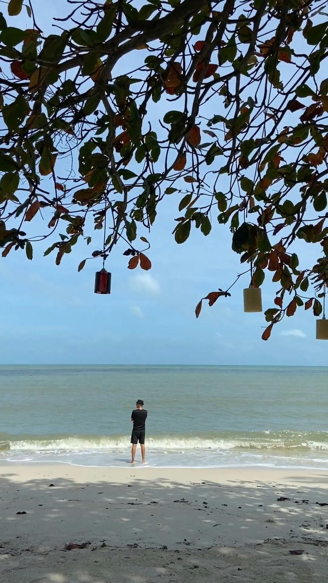 A Video Footage of Beautiful Beach Free Stock Video Footage, Royalty ...